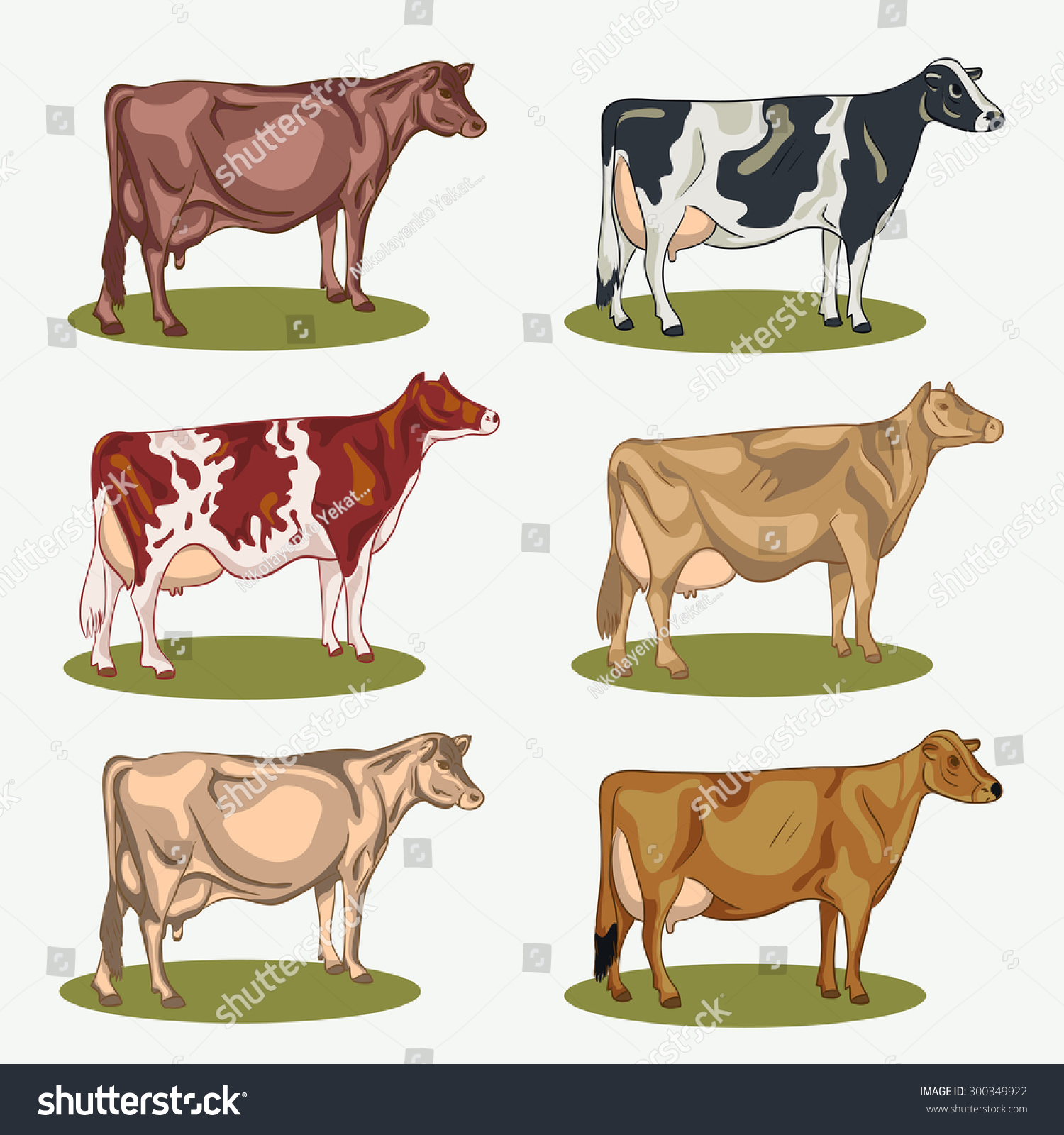 Different Cows Colors Set Isolated Vector: vector de stock (libre de ...