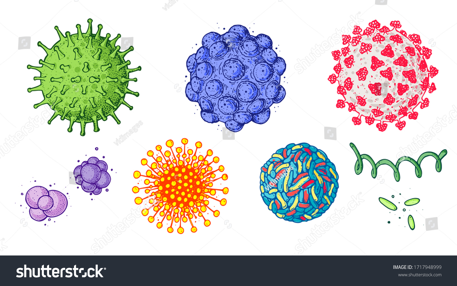 Different Kinds Virus Sketch Collection Hand Stock Vector Royalty Free