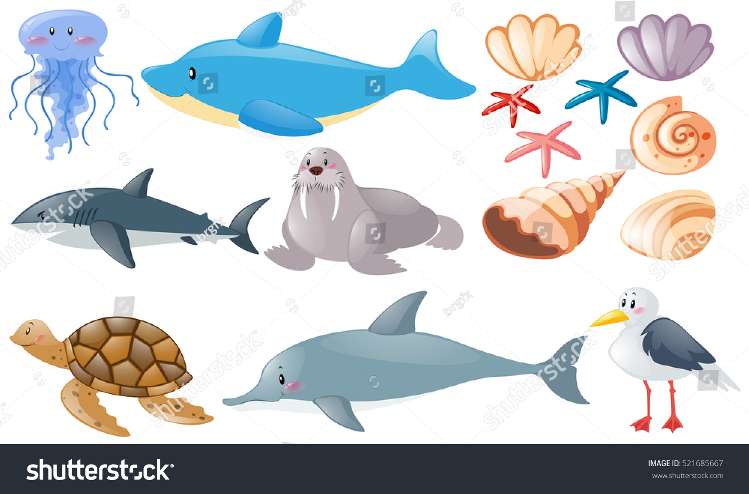 Different Types Sea Animals Illustration : image vectorielle de stock ... Different Types Sea Animals Illustration : image vectorielle de stock ...