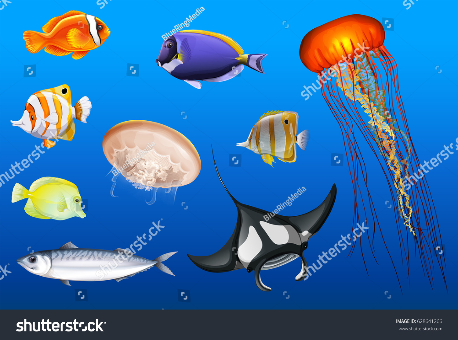 Different Types Sea Animals Illustration 库存矢量图(免版税)628641266 | Shutterstock Different Types Sea Animals Illustration 库存矢量图(免版税)628641266 | Shutterstock