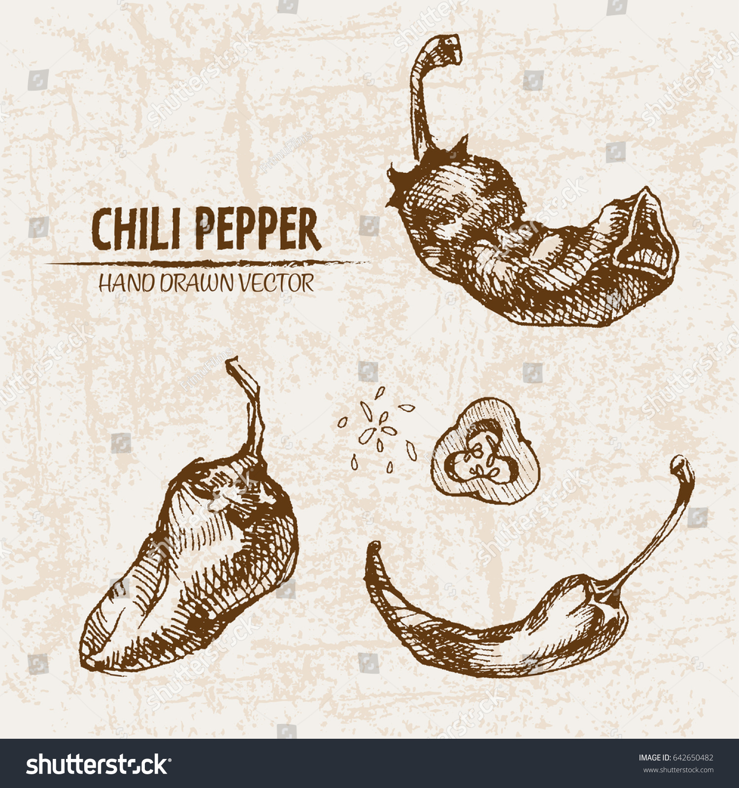 Digital Vector Detailed Line Art Chili 库存矢量图(免版税)642650482 | Shutterstock Digital Vector Detailed Line Art Chili 库存矢量图(免版税)642650482 | Shutterstock