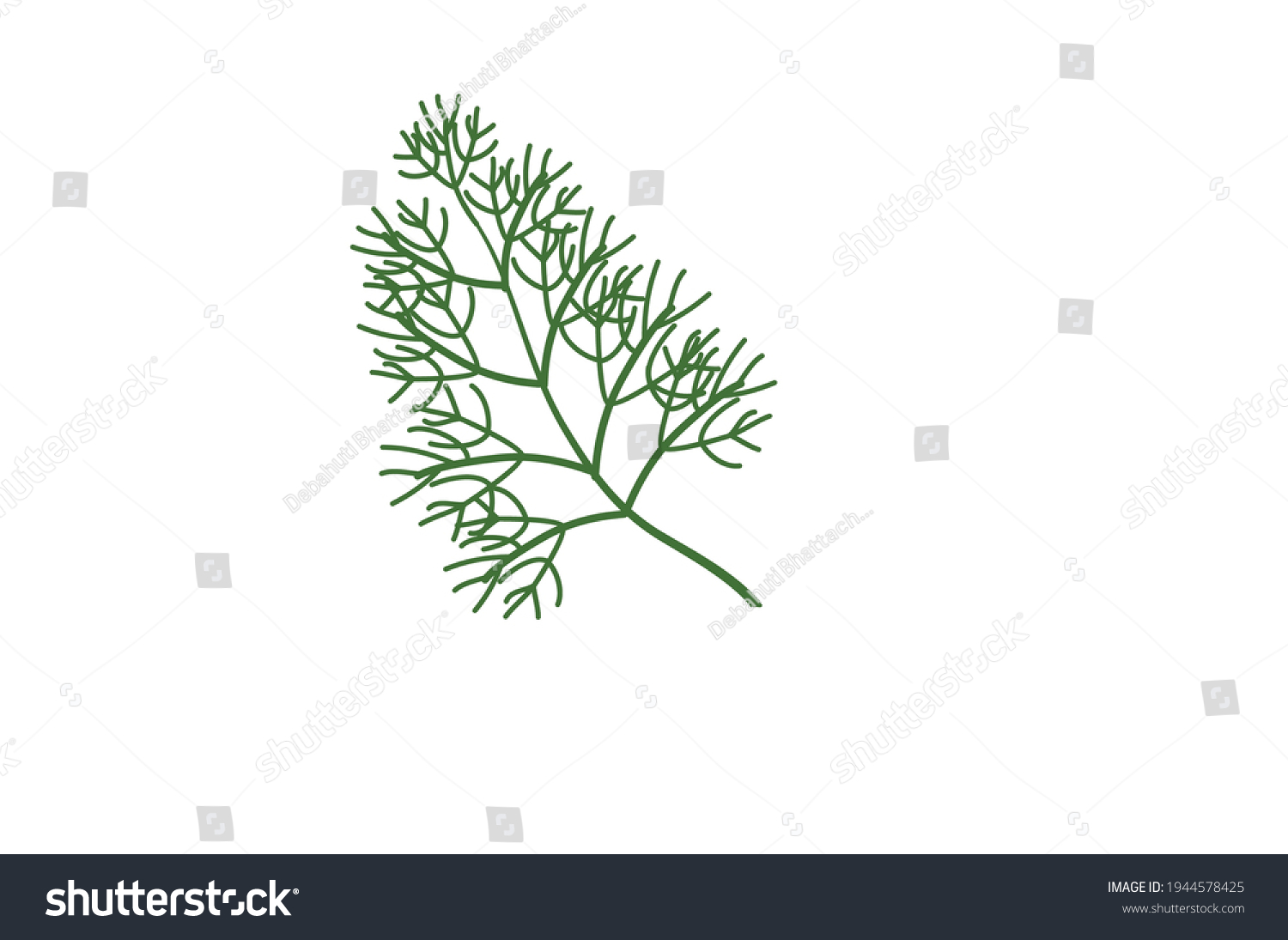 Dill Vector Illustration On White Background Stock Vector (Royalty Free ...