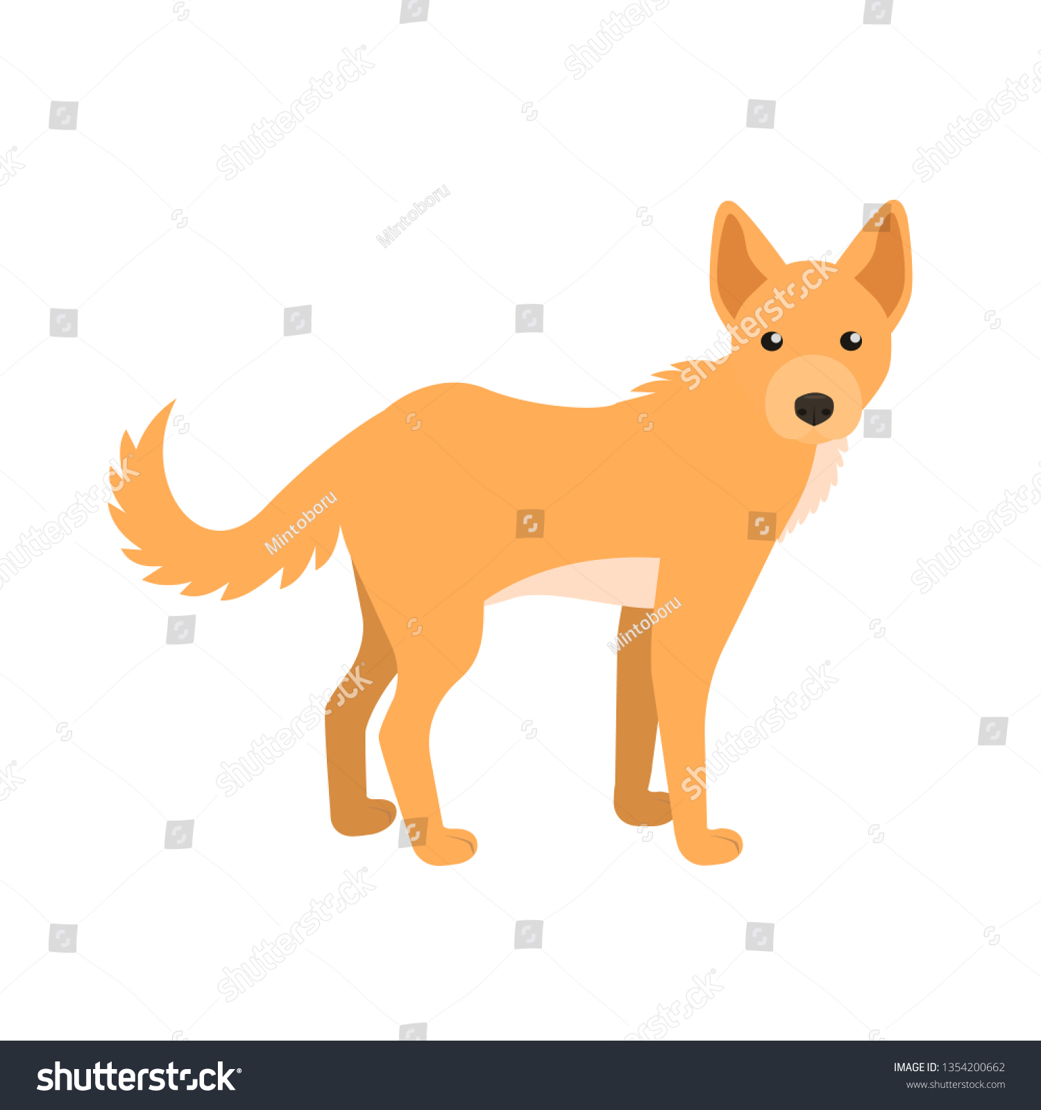 Dingo Isolated Vector Illustration Stock Vector (Royalty Free) 1354200662