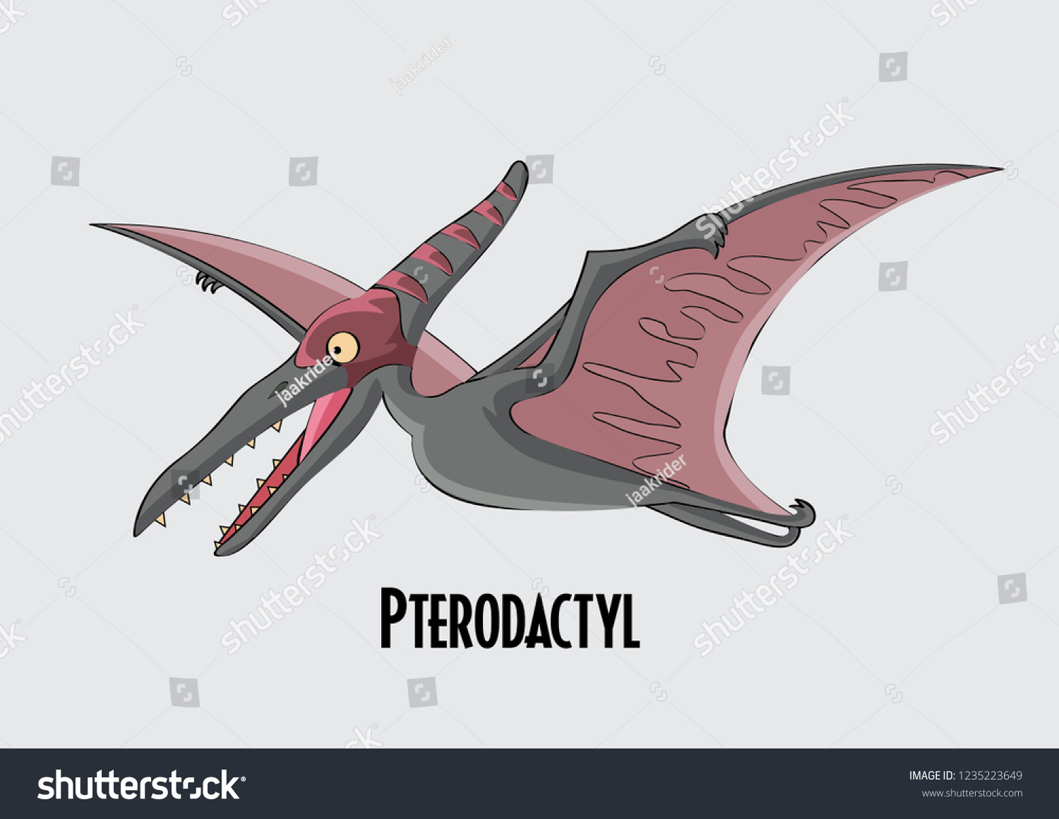 Dinosaur Pterodactyl Vector Illustration 库存矢量图（免版税）1235223649 ...