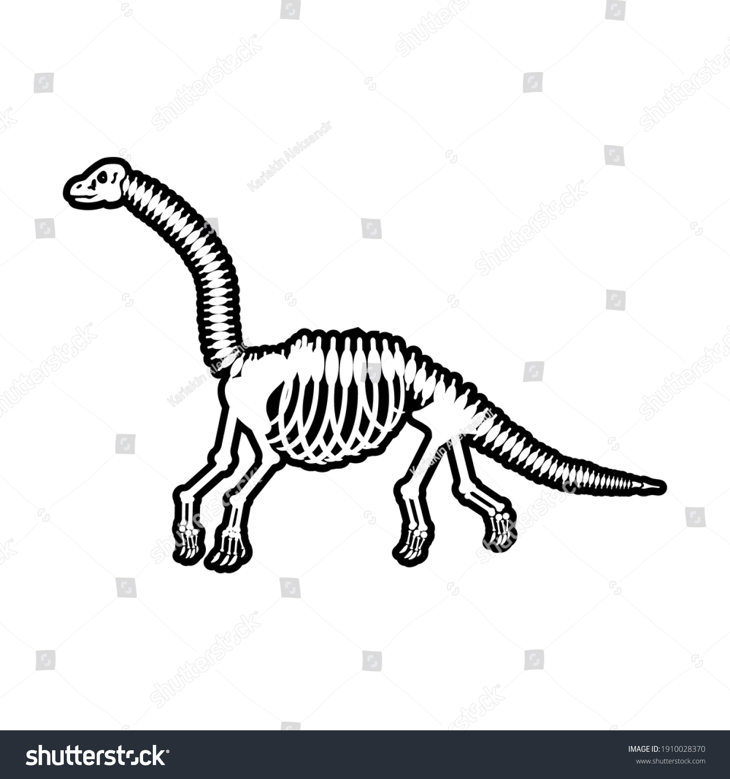 Dinosaur Skeleton Diplodocus Vector Illustration: vetor stock (livre de ...