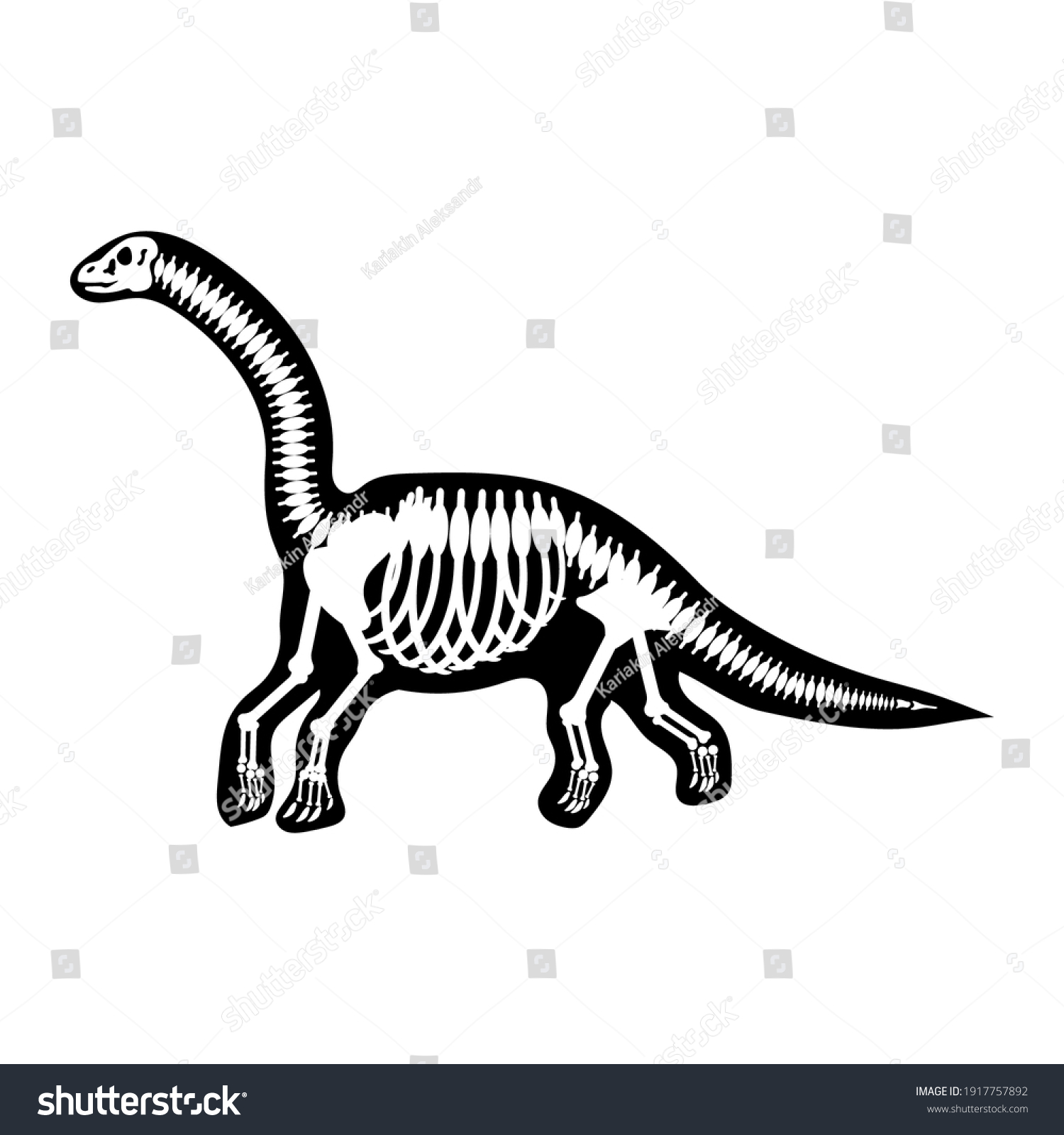 Dinosaur Skeleton Diplodocus Vector Illustration Stock Vector (Royalty ...
