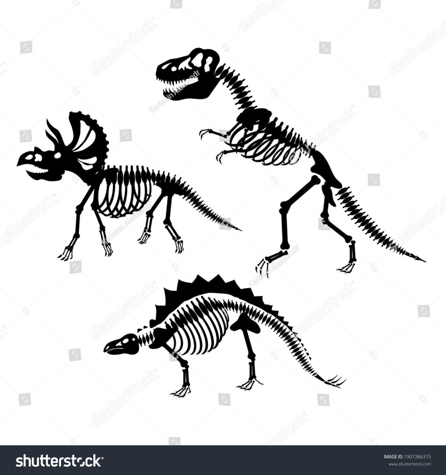 Dinosaur Skeletons Set Vector Illustration Stock Vector (Royalty Free ...