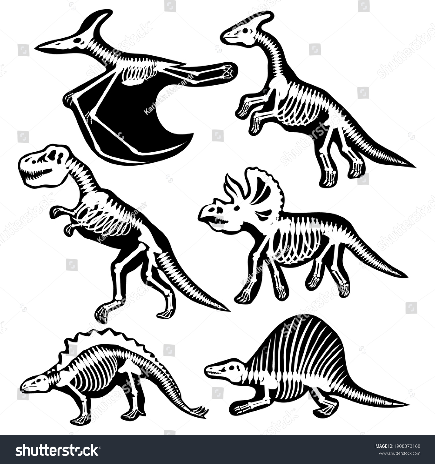 Dinosaur Skeletons Set Vector Illustration Stock Vector (Royalty Free ...