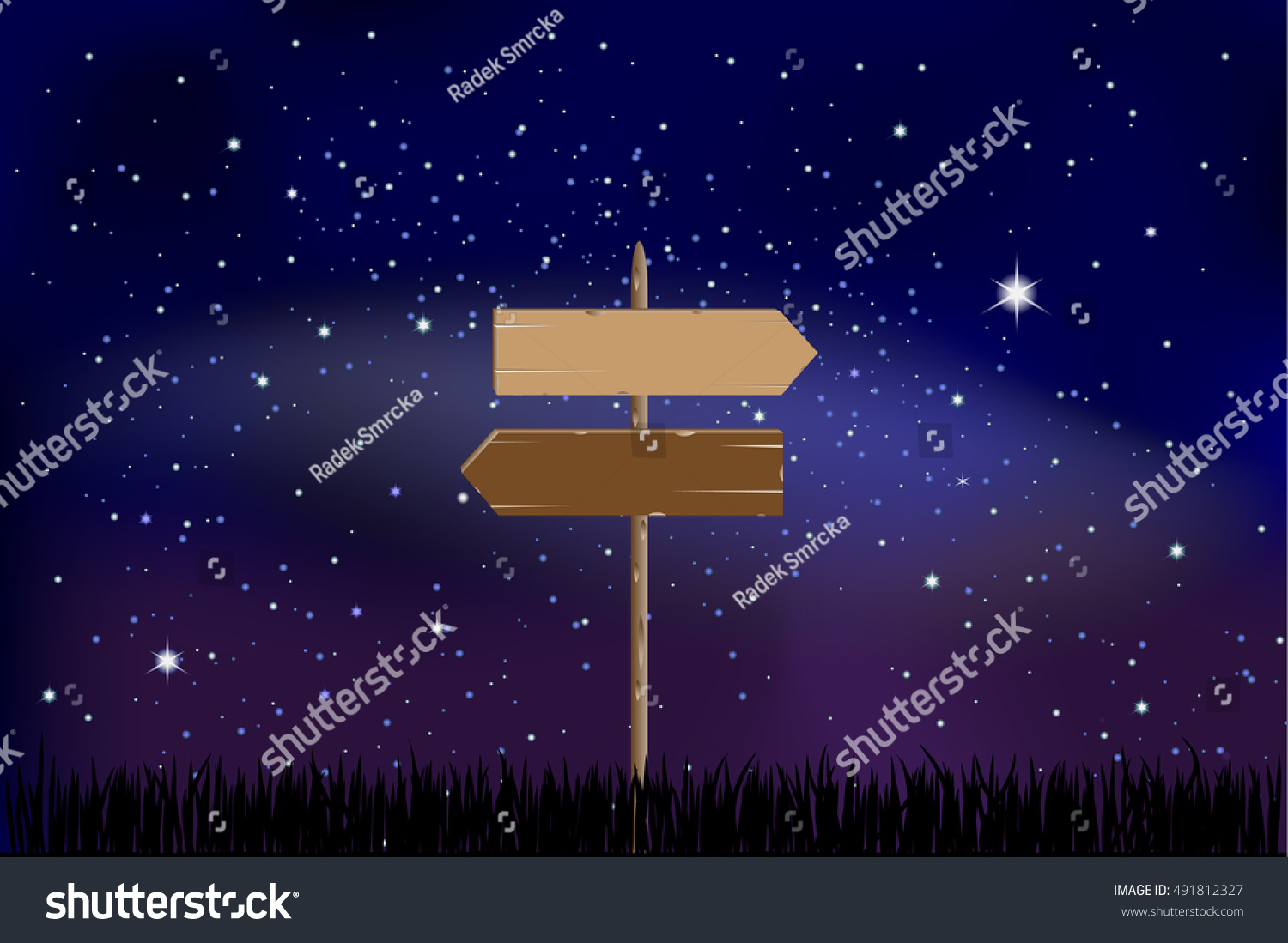 Direction Night Stock Vector (Royalty Free) 491812327 | Shutterstock