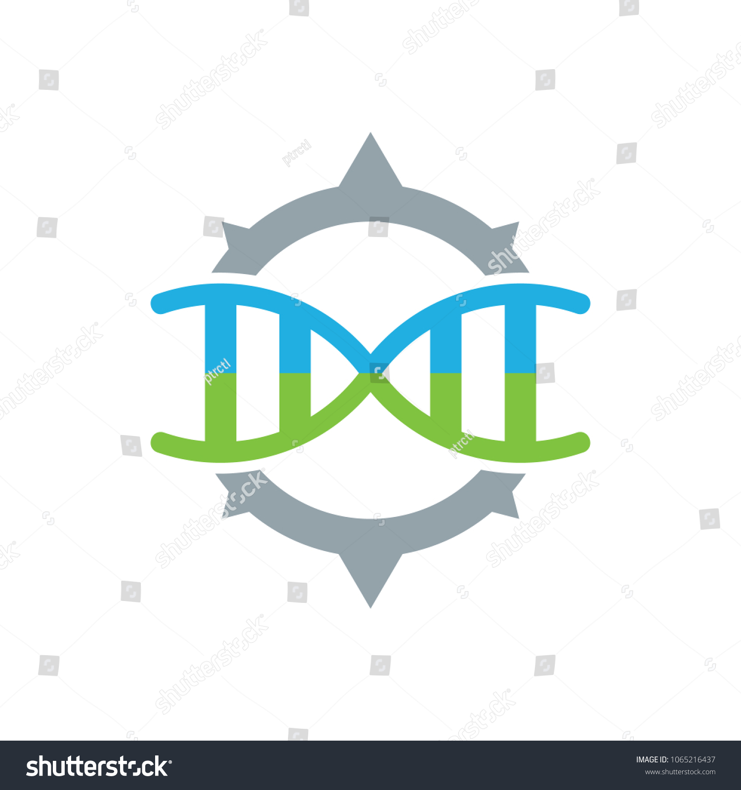 Dna Compass Logo Icon Design Stock Vector (Royalty Free) 1065216437 ...