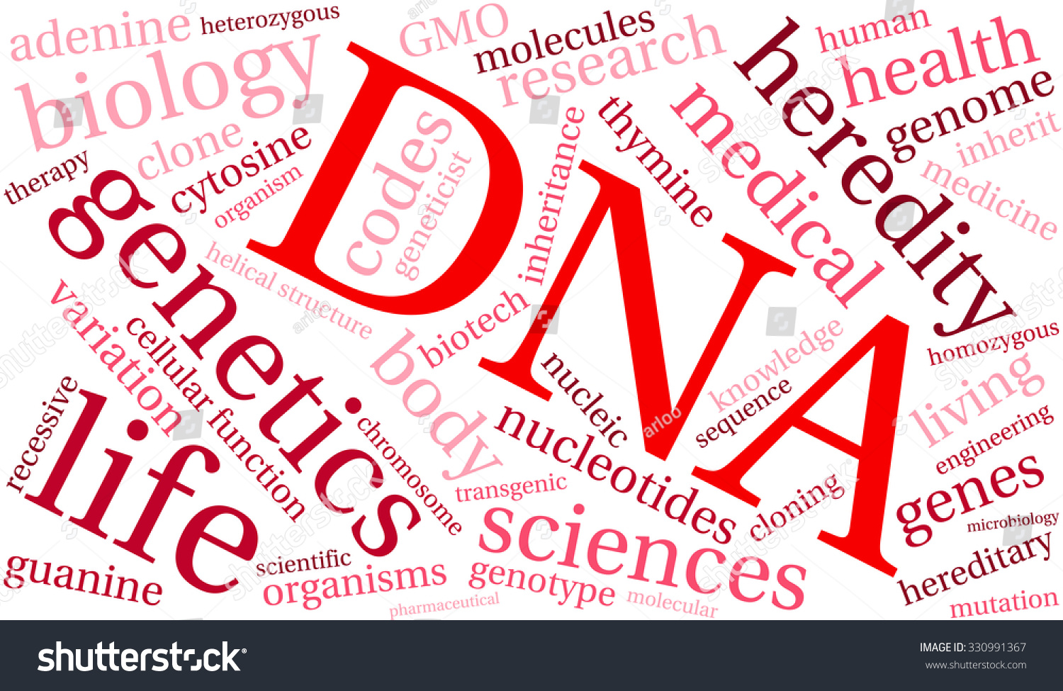 Dna Word Cloud On White Background Stock Vector (Royalty Free ...