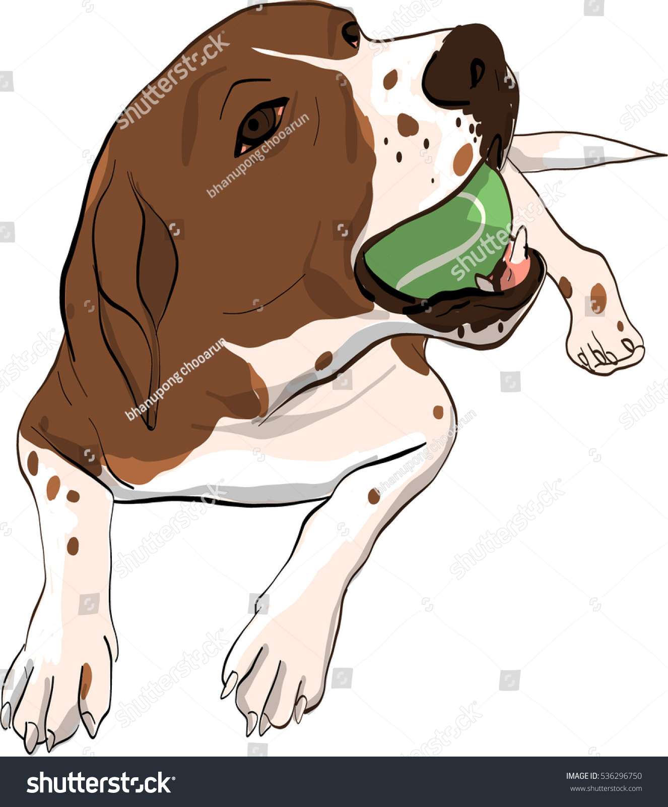 Dog Bite Tennis Ball Stock Vector (Royalty Free) 536296750 | Shutterstock
