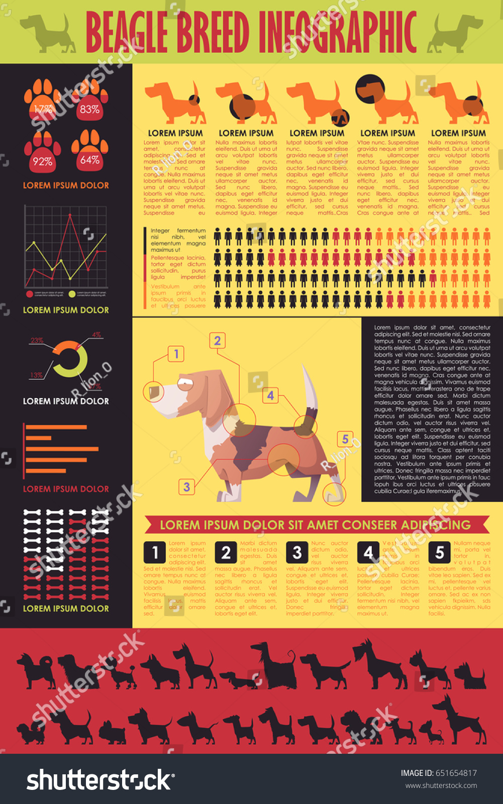 Dog Infographic Vector Collection Stock Vector (Royalty Free) 651654817
