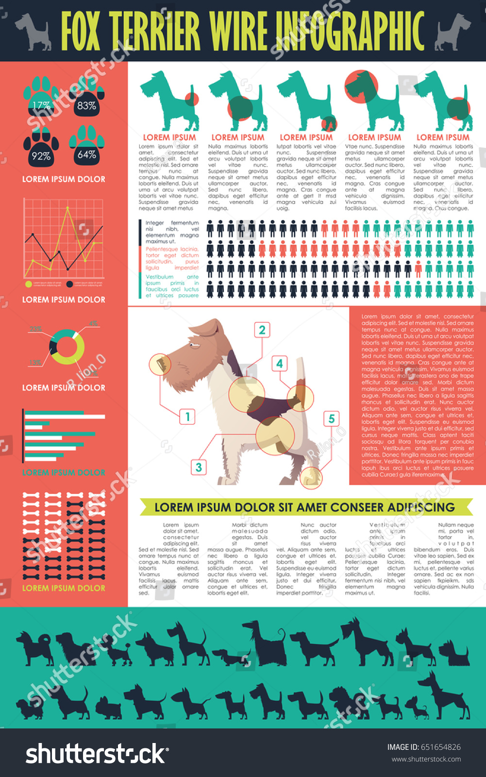Dog Infographic Vector Collection Stock Vector (Royalty Free) 651654826 ...