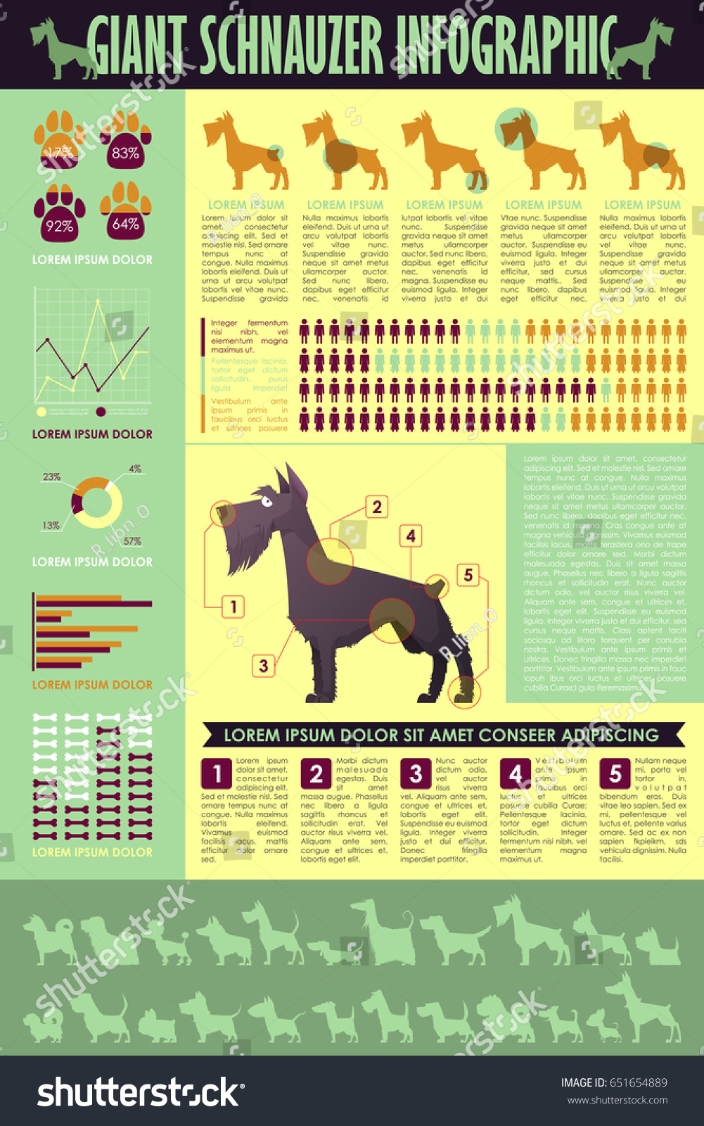 Dog Infographic Vector Collection: vector de stock (libre de regalías ...