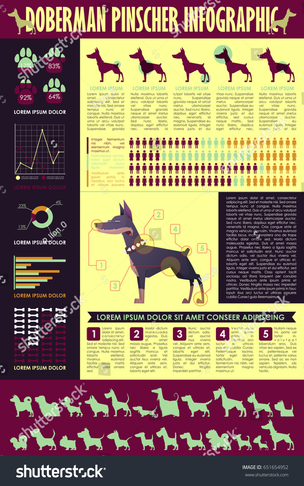 Dog Infographic Vector Collection Stock Vector (Royalty Free) 651654952