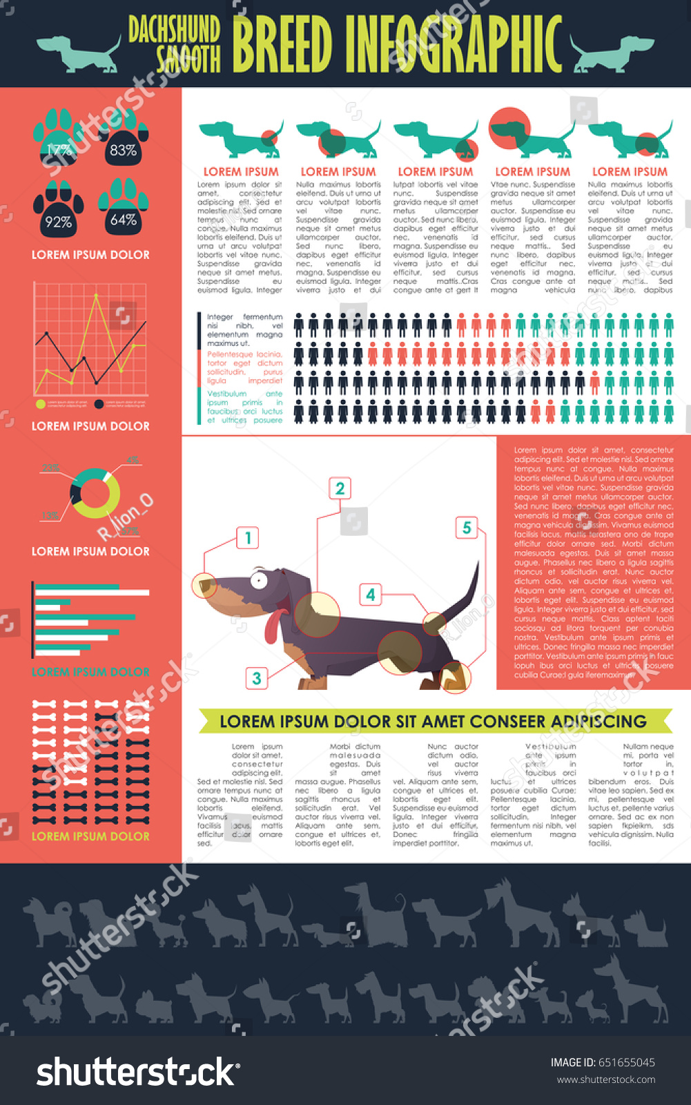 Dog Infographic Vector Collection: vector de stock (libre de regalías ...