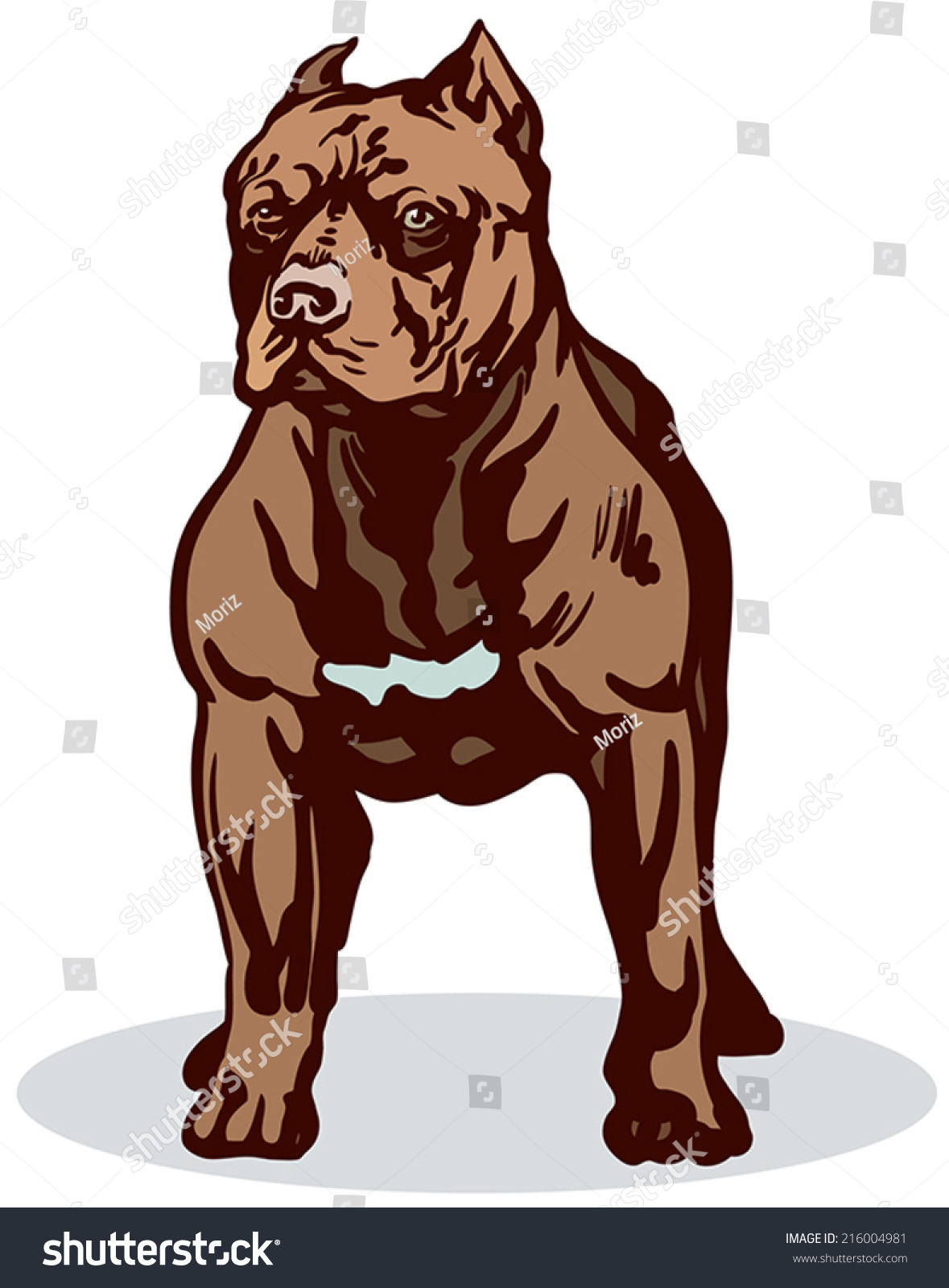 Dog Pit Bull Stock Vector 216004981 - Shutterstock