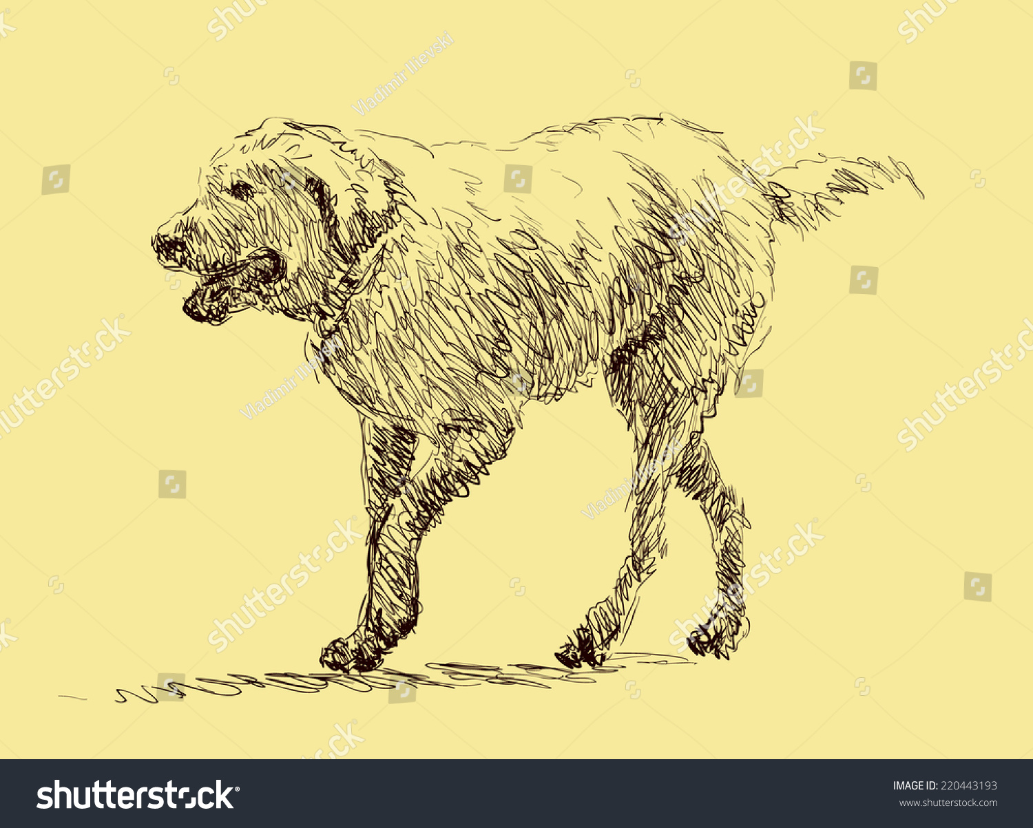 Dog Realistic Drawing Vector Illustration Stock Vector (Royalty Free ...