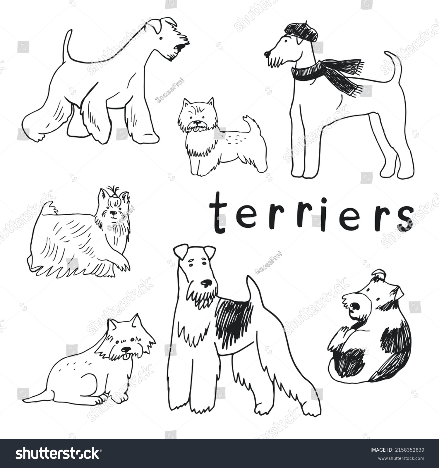 Dog Terriers Pets Vector Illustrations Set Stock Vector (Royalty Free ...