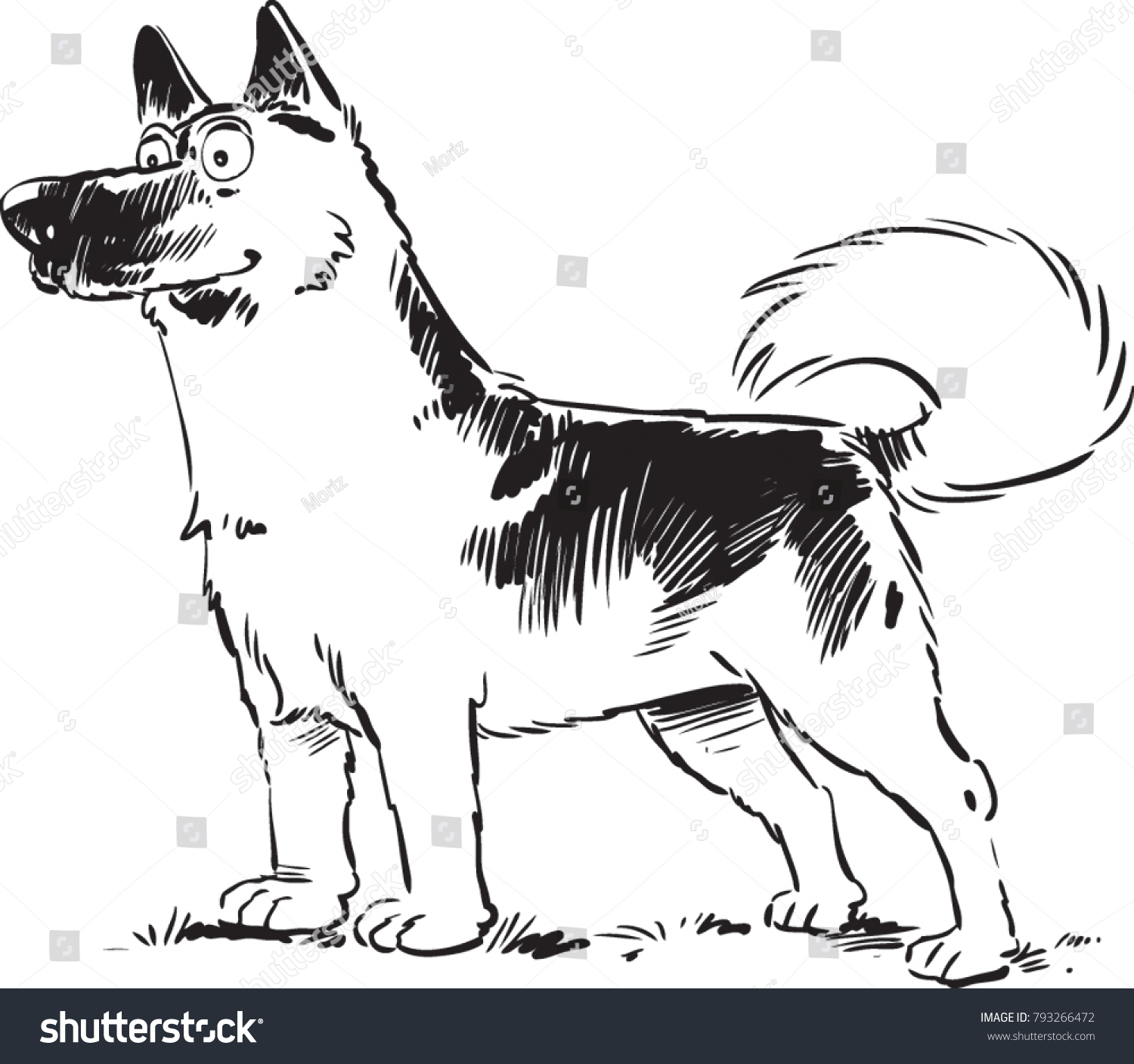 Dog Vector Black White Drawing Stock Vector (Royalty Free) 793266472 ...