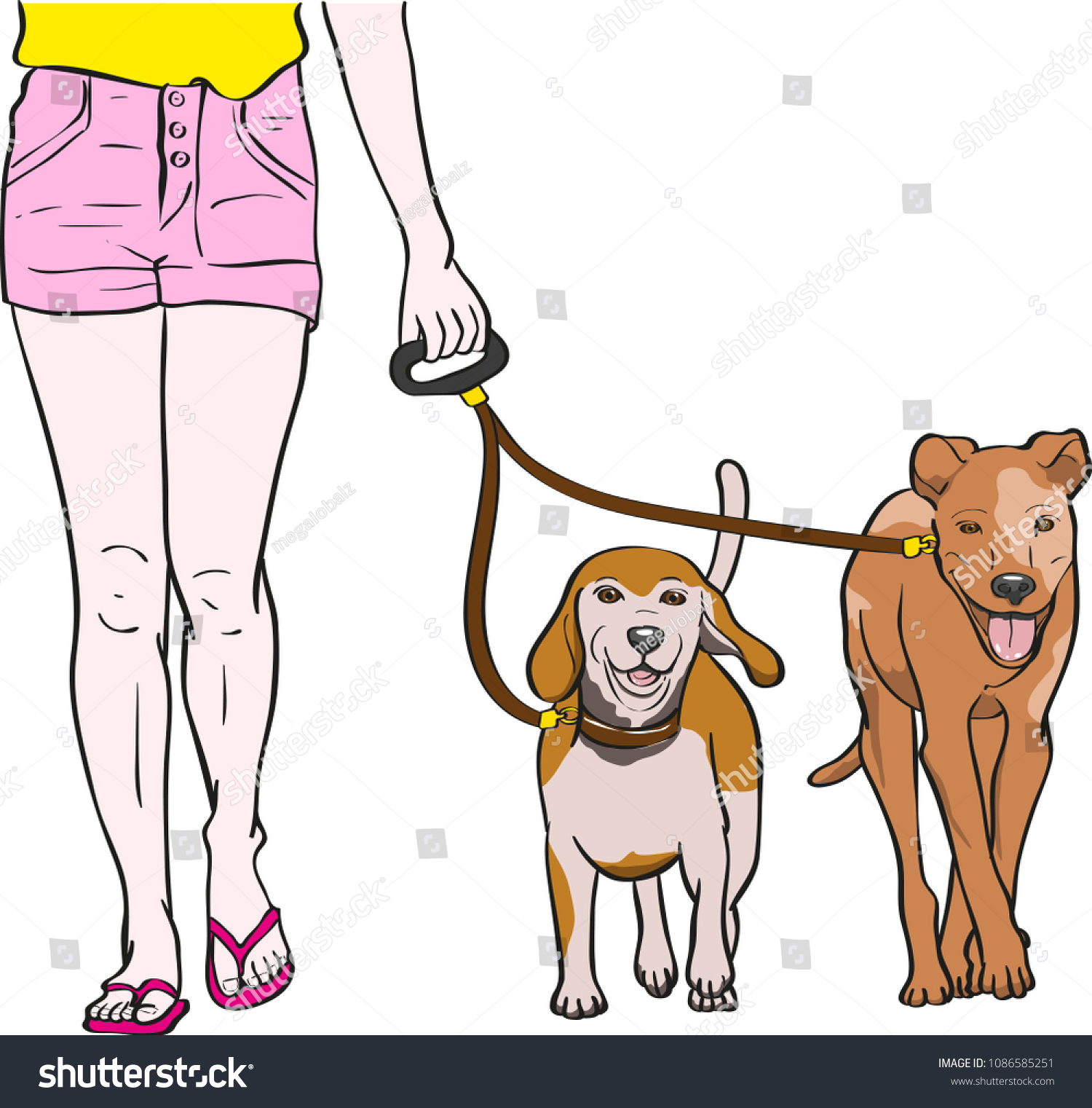 Dog Walker Vector Stock Vector (Royalty Free) 1086585251 | Shutterstock
