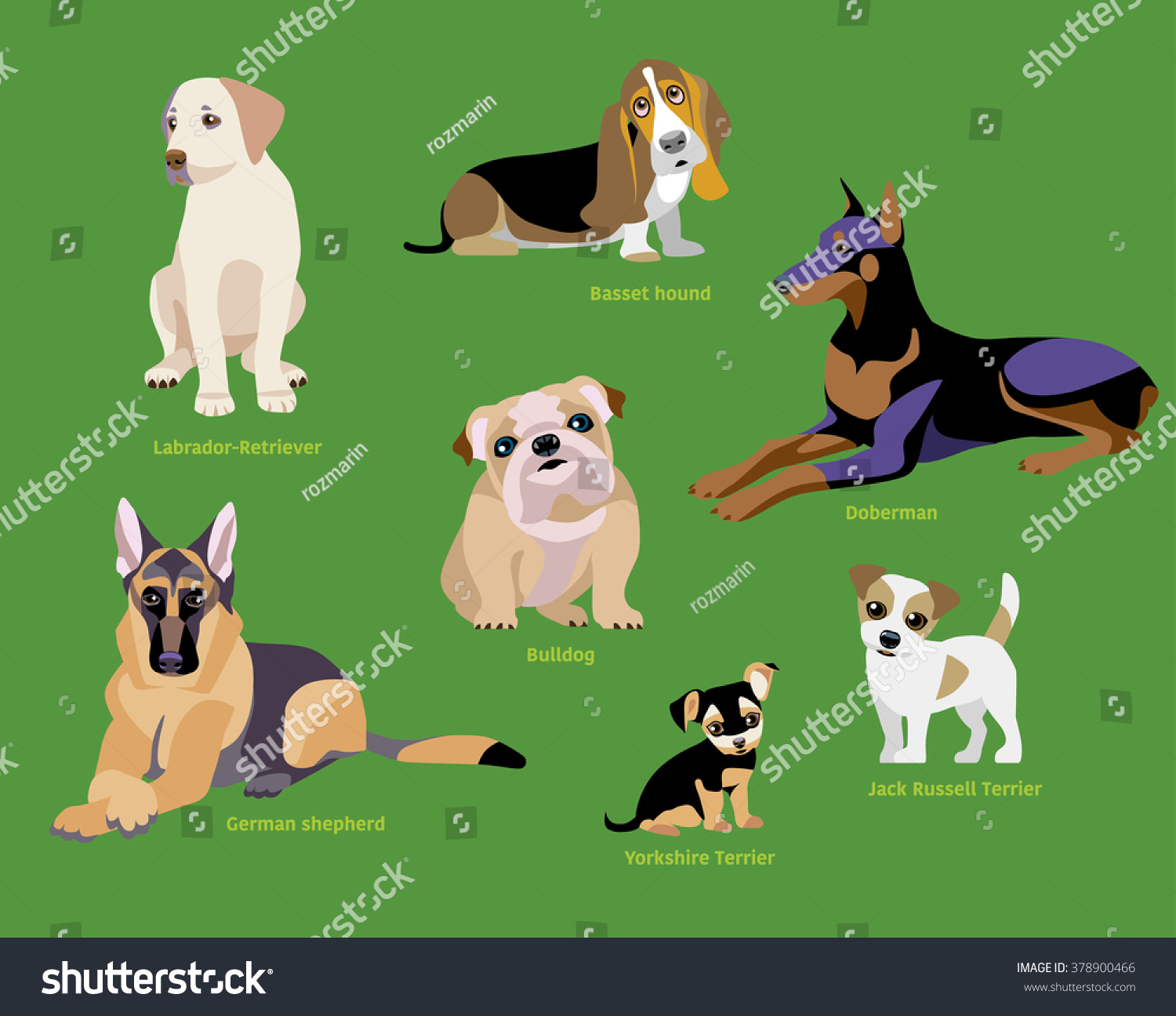 Dogs Breed Set Isolated Vector Illustration 스톡 벡터(로열티 프리) 378900466 ...