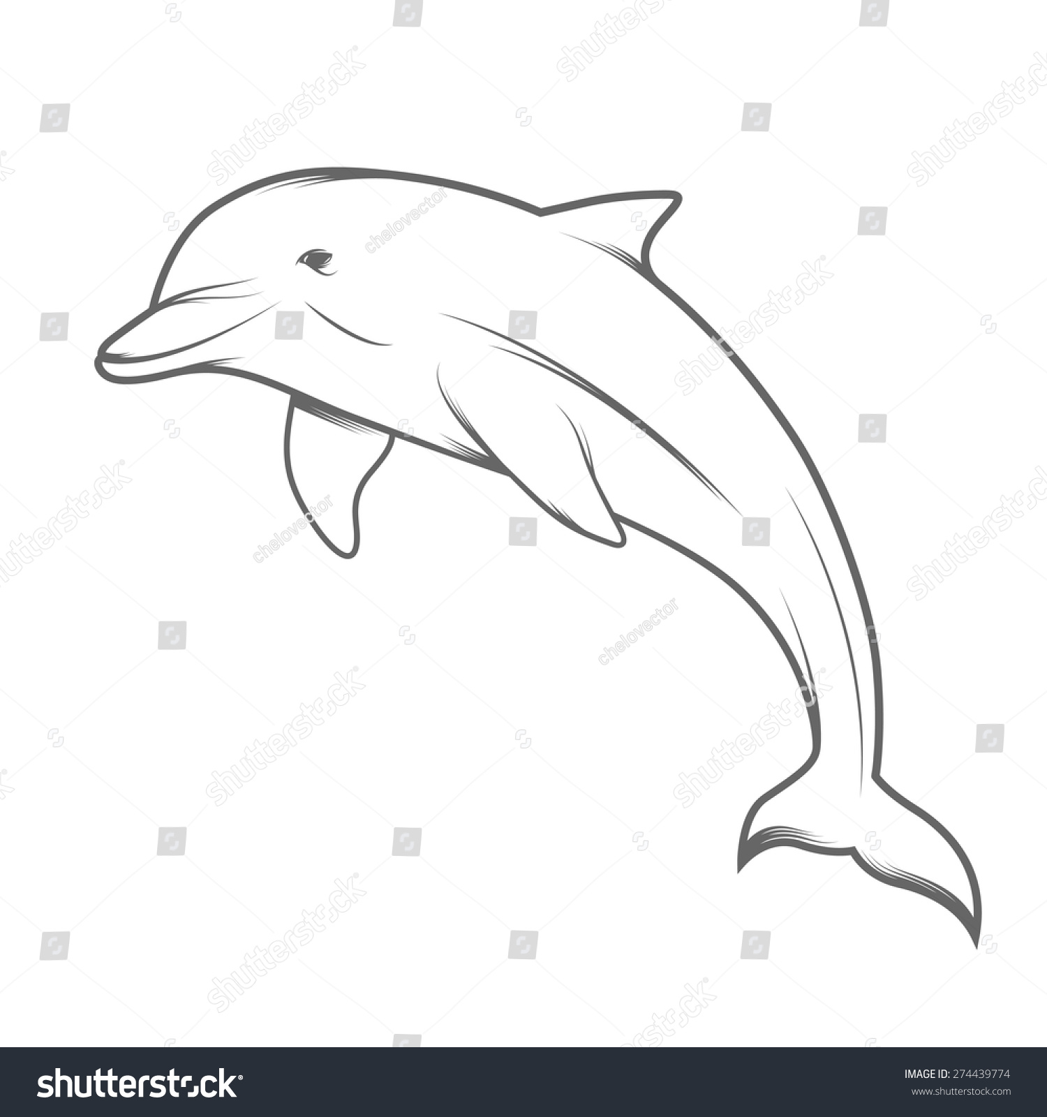 Dolphin Illustration Stock Vector 274439774 - Shutterstock