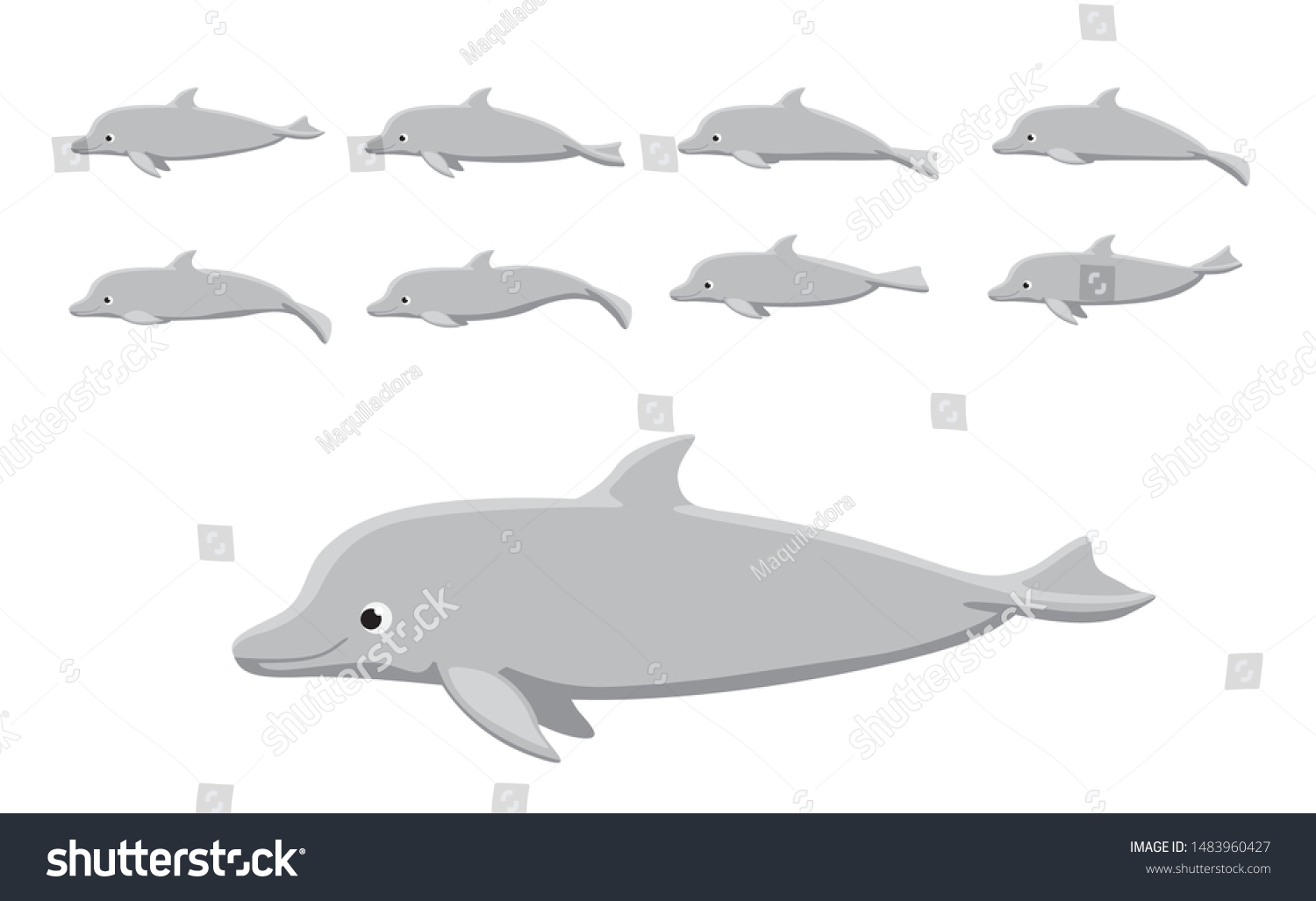 Dolphin Swimming Animation Sequence Cartoon Vector Stock Vector ...