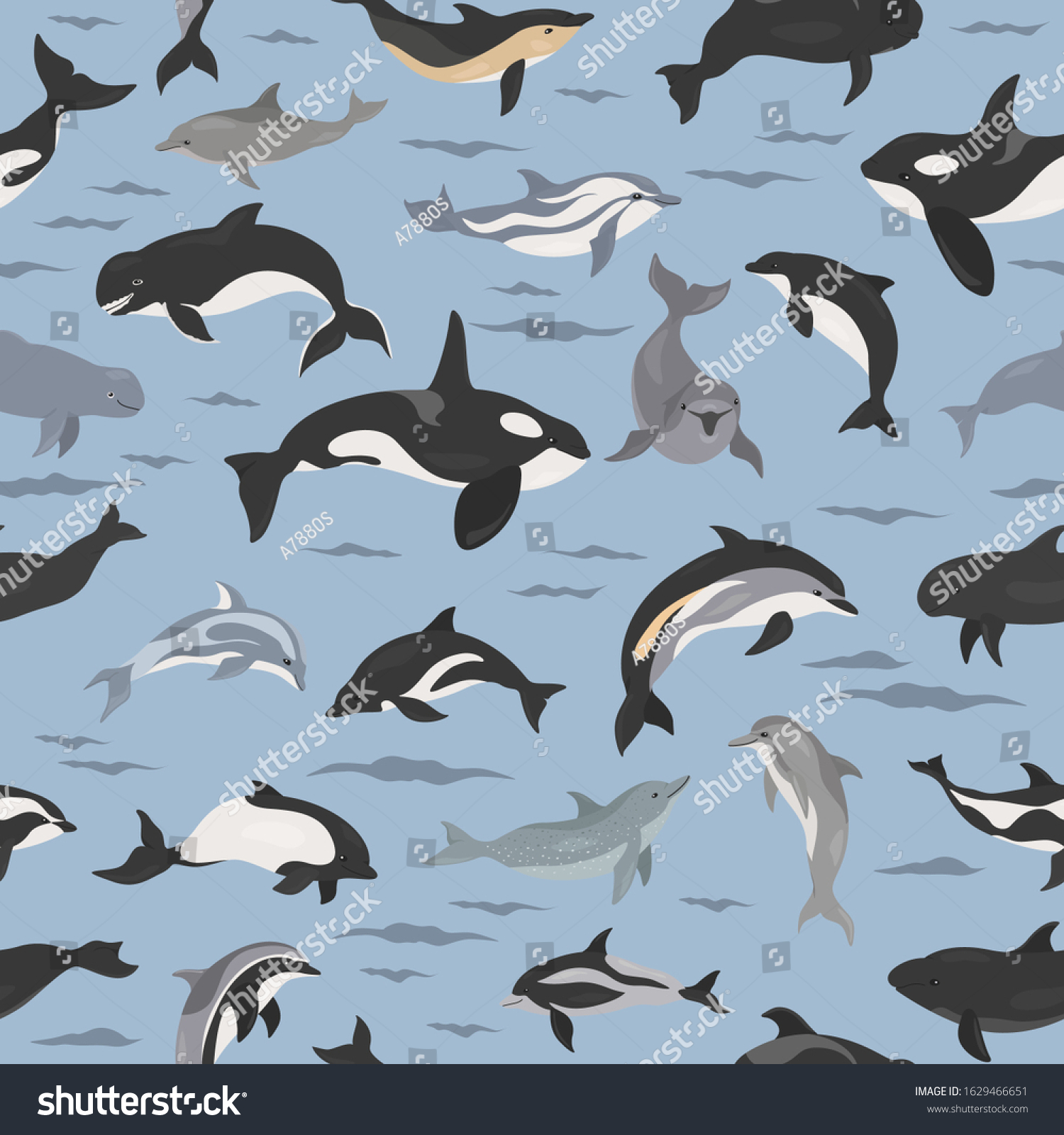 Dolphins Seamless Pattern Marine Mammals Collection Stock Vector ... Dolphins Seamless Pattern Marine Mammals Collection Stock Vector ...