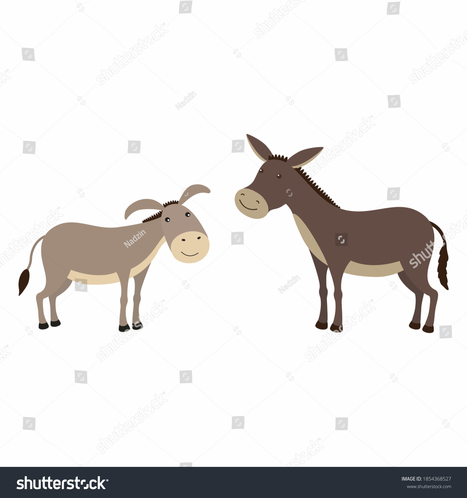 Donkey Mule Differences Vector Illustration Isolated: vetor stock ...