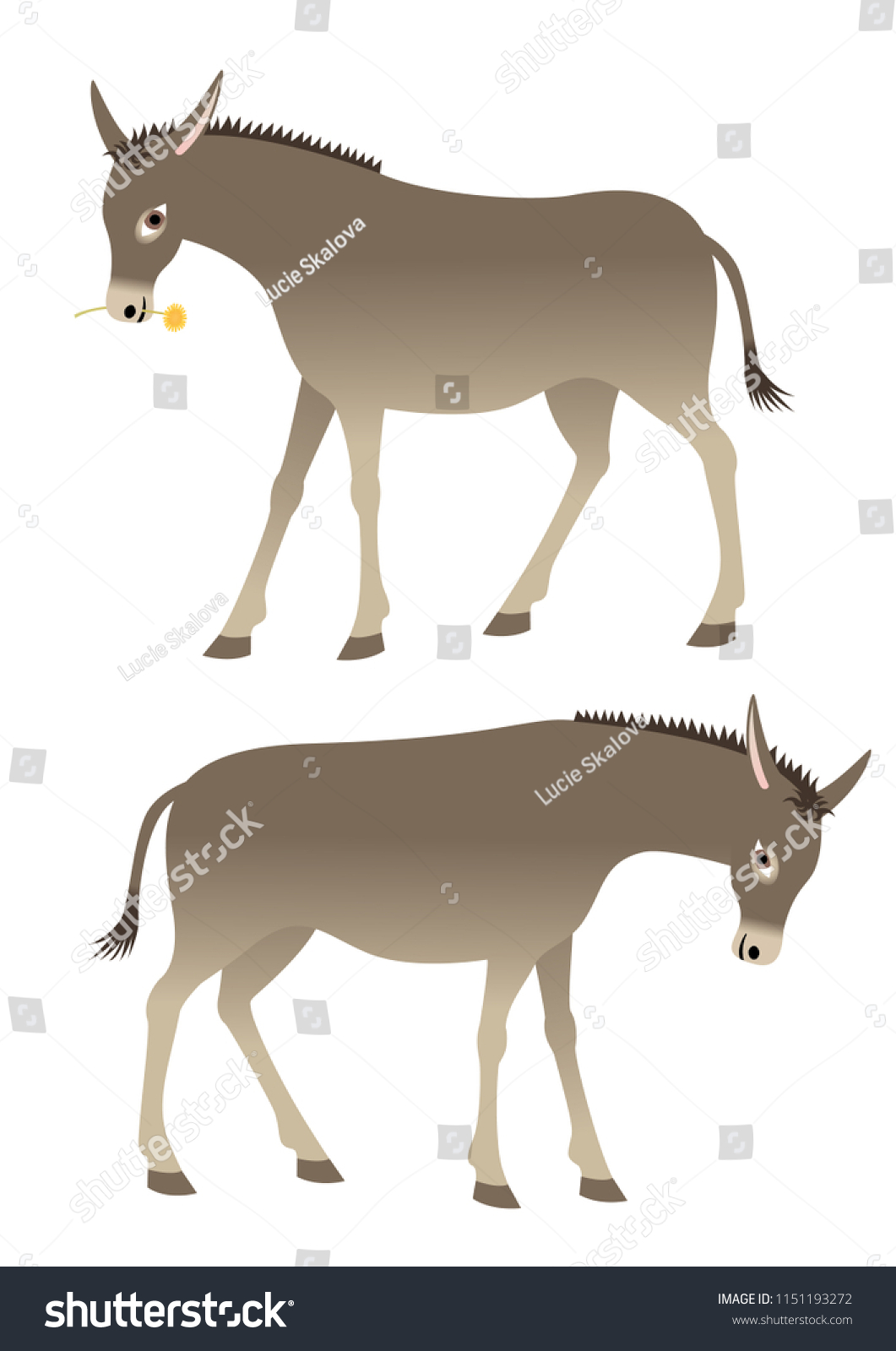 Donkey Vector Illustration Stock Vector (Royalty Free) 1151193272
