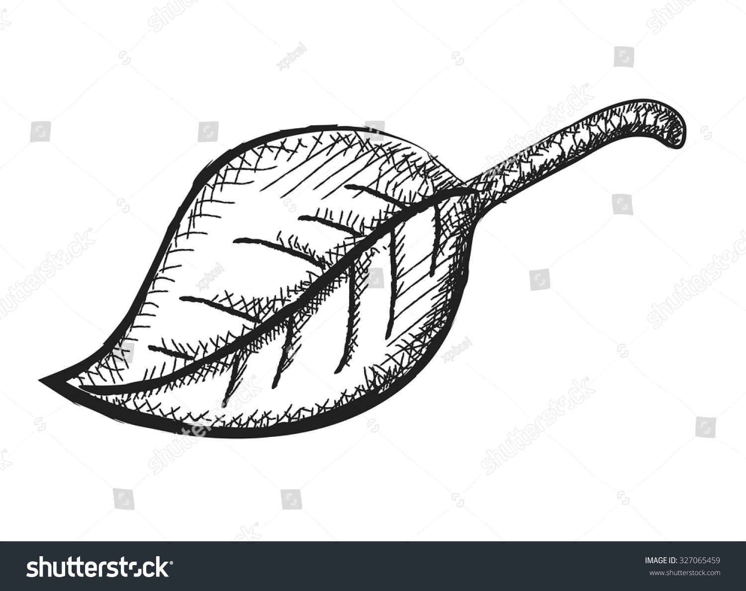 Doodle Leaf Vector Illustration Stock Vector (Royalty Free) 327065459 ...