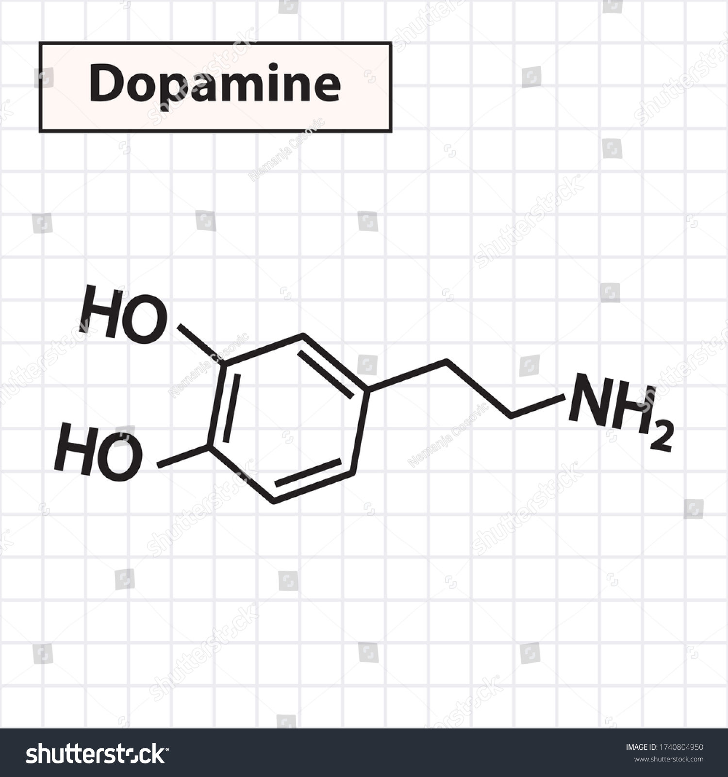 Dopamine Structure Chemistry Vector Illustration: เวกเตอร์สต็อก (ปลอด ...