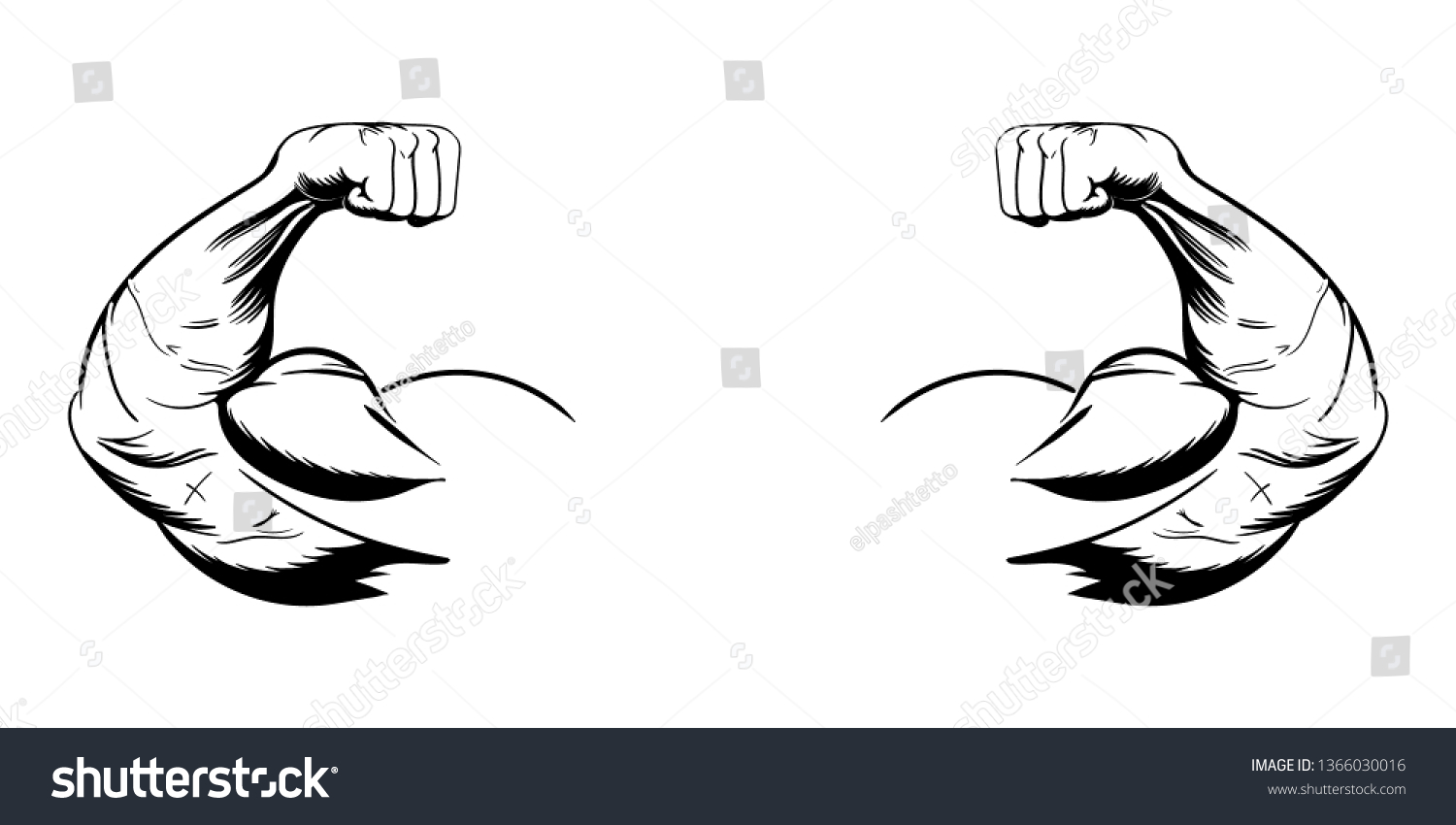 Double Bicep Vector Illustration Stock Vector (Royalty Free) 1366030016