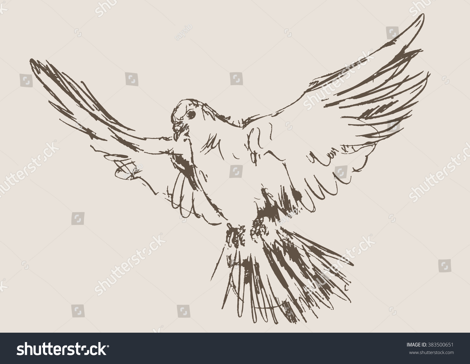 Dove Vector Hand Draw Sketch Stock Vector (Royalty Free) 383500651