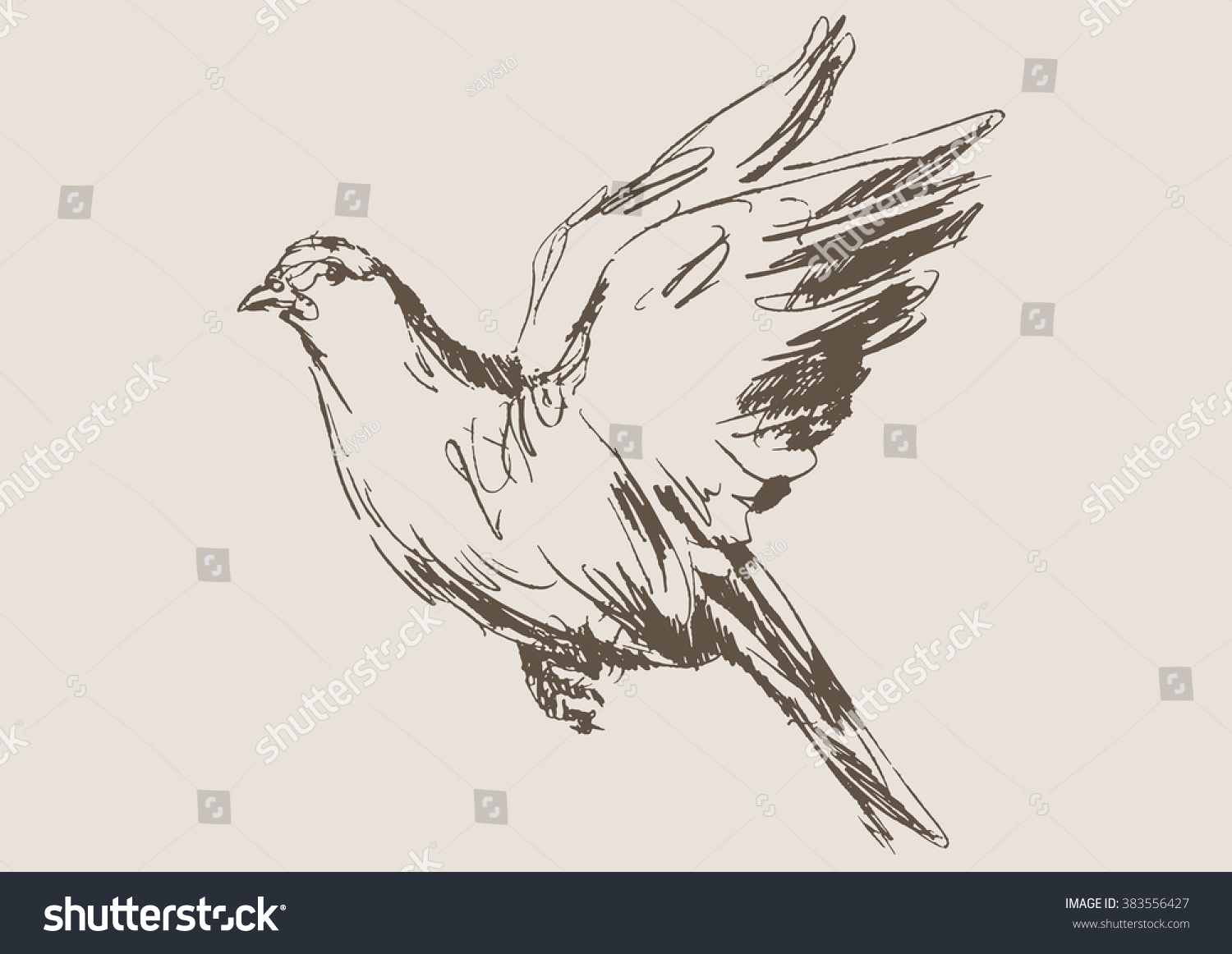 Dove Vector Hand Draw Sketch Stock Vector (Royalty Free) 383556427