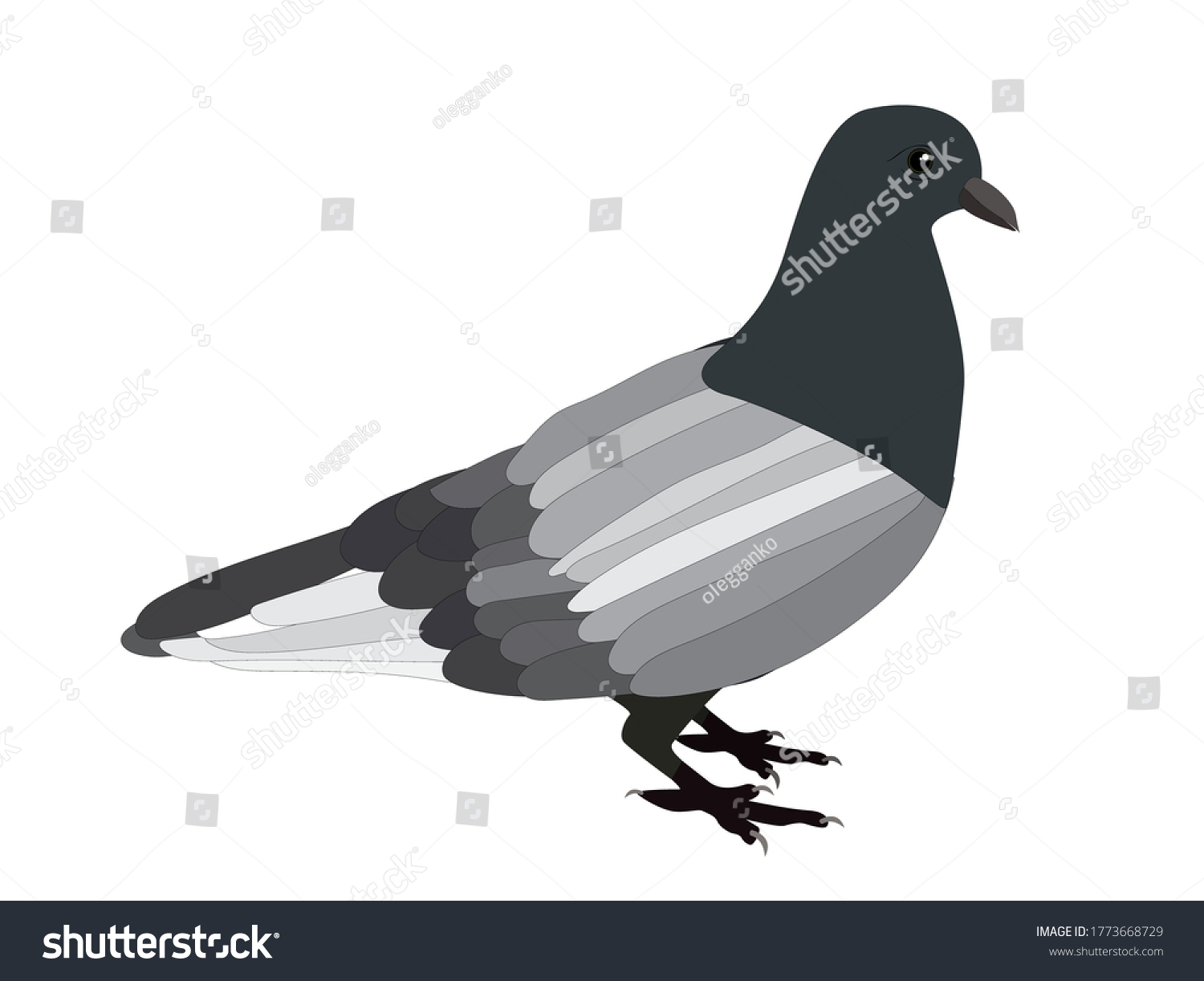 Dove Vector Image Isolated On White Stock Vector (Royalty Free ...