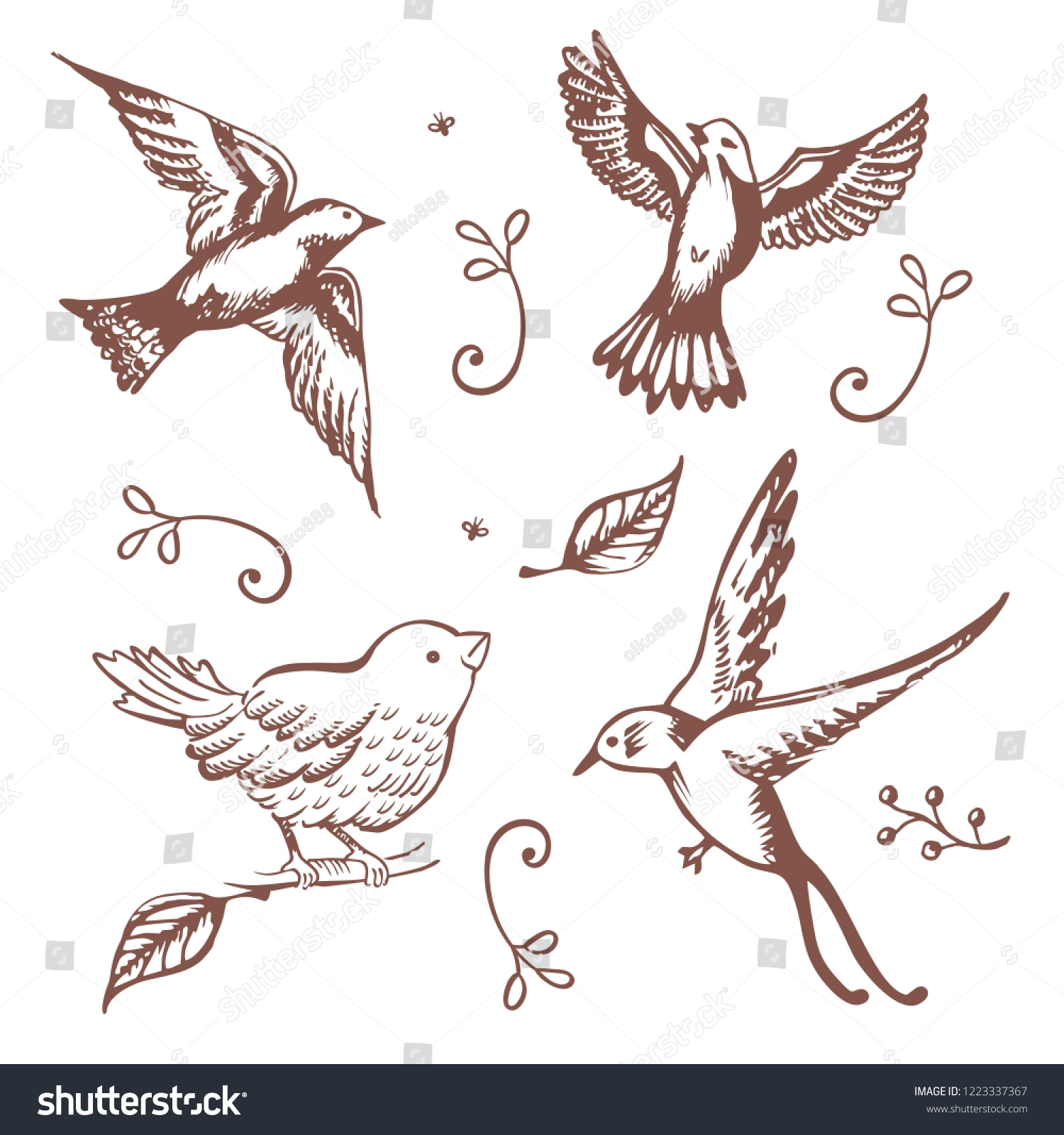 Drawing Birds Vector Vintage Stock Vector (Royalty Free) 1223337367 ...