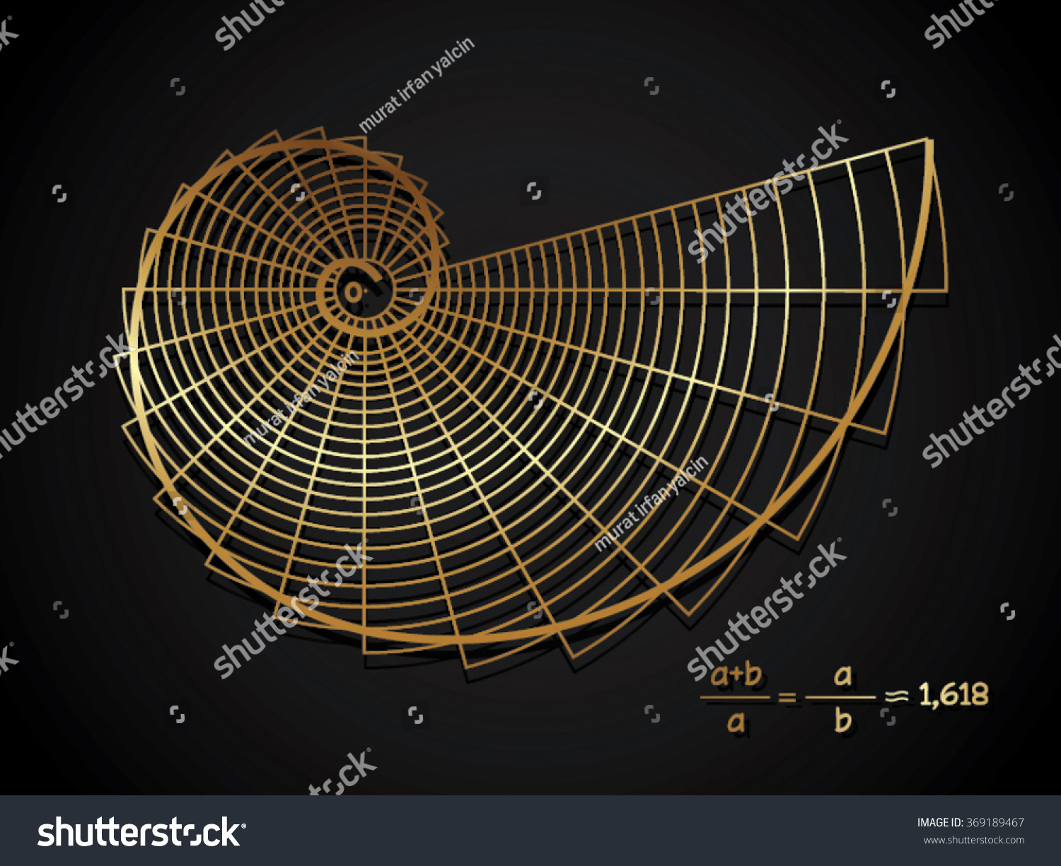 Drawing Golden Ratio 스톡 벡터(사용료 없음) 369189467 - Shutterstock