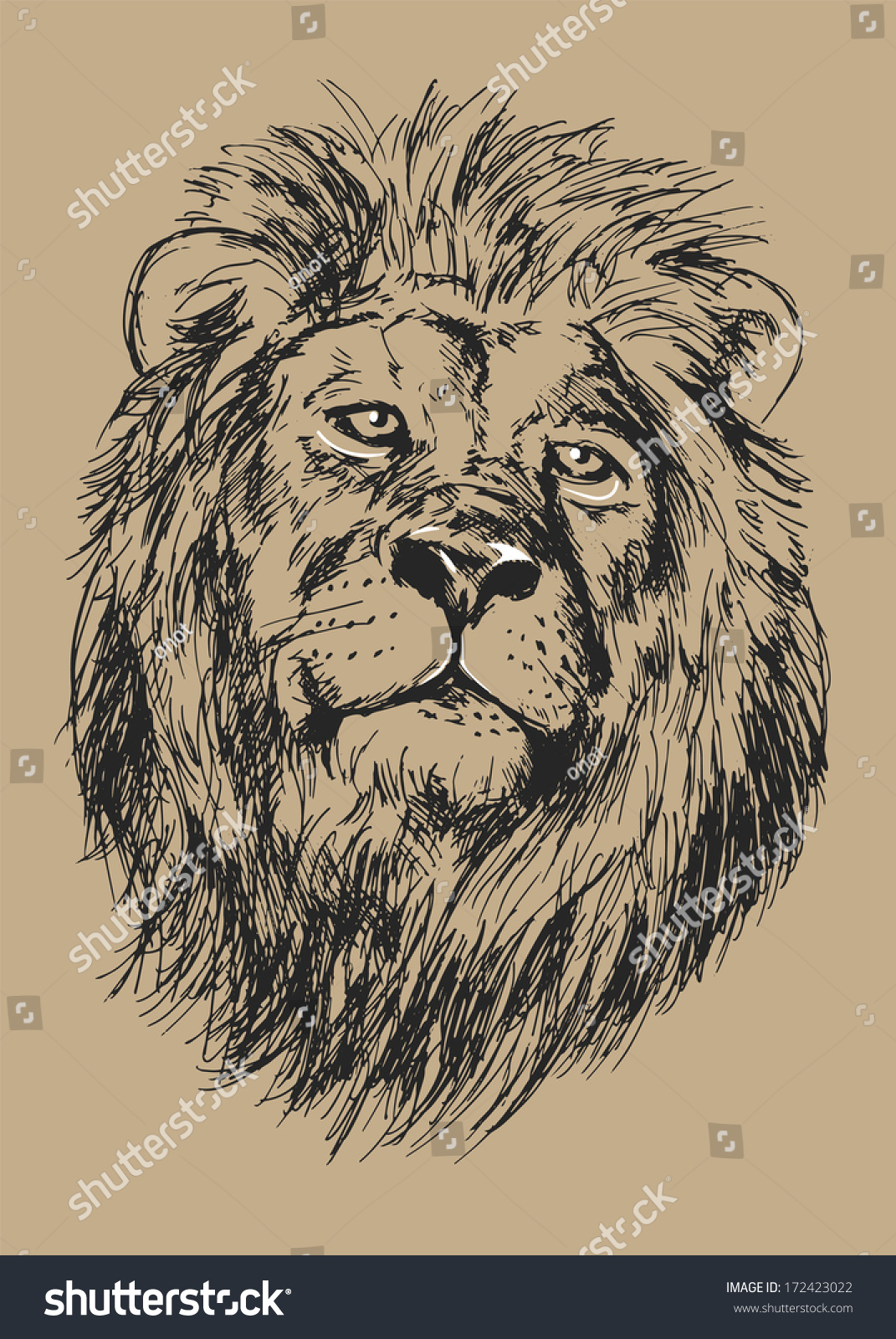 Drawing Lions Head Vector Illustration Stock Vector (Royalty Free ...