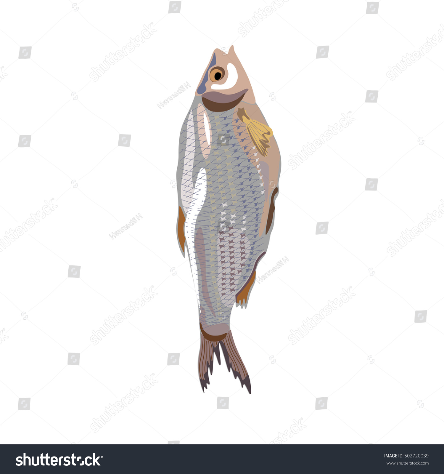 Dried Fish Vector Illustration Stock Vector (Royalty Free) 502720039 ...