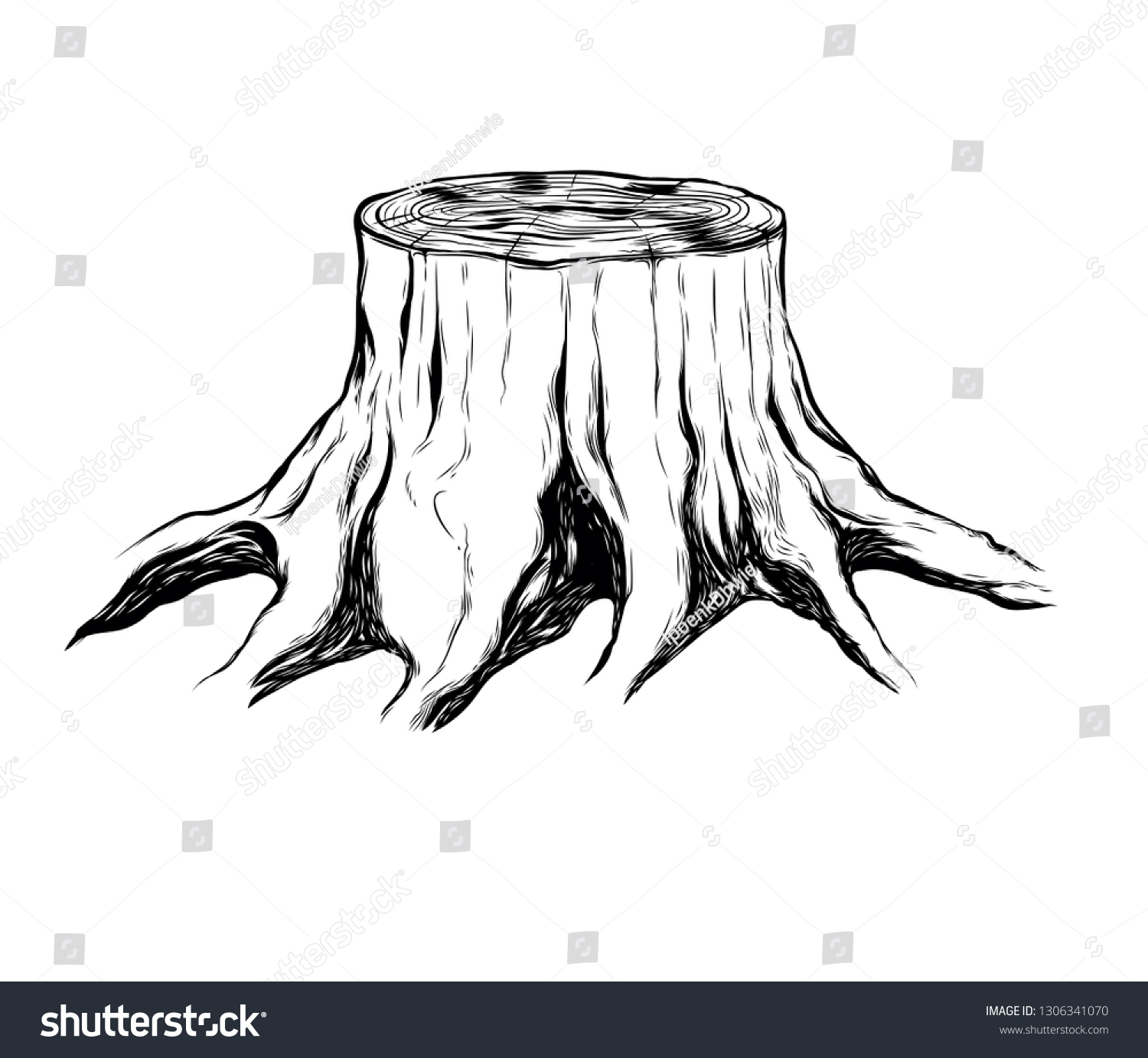 Dried Tree Illegal Logging Symbol Vector Stock Vector (Royalty Free ...