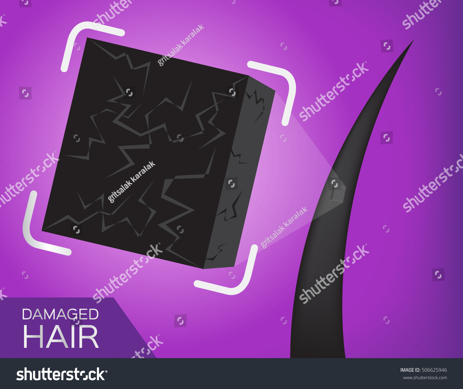 Dry Hair Vector Damaged Stock Vector (Royalty Free) 506625946 ...