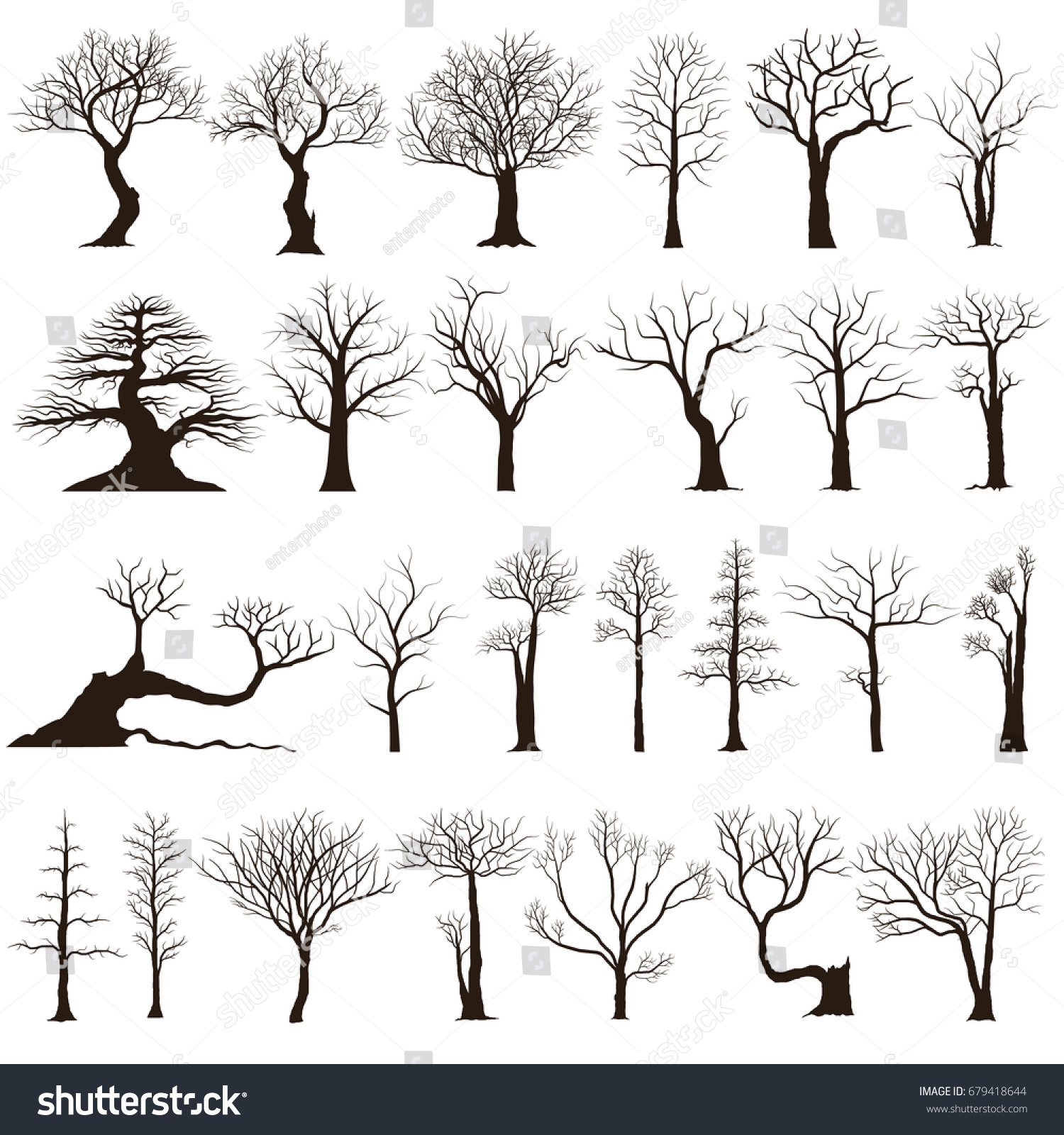 Dry Tree Isolated On White Background Stock Vector (Royalty Free) 679418644