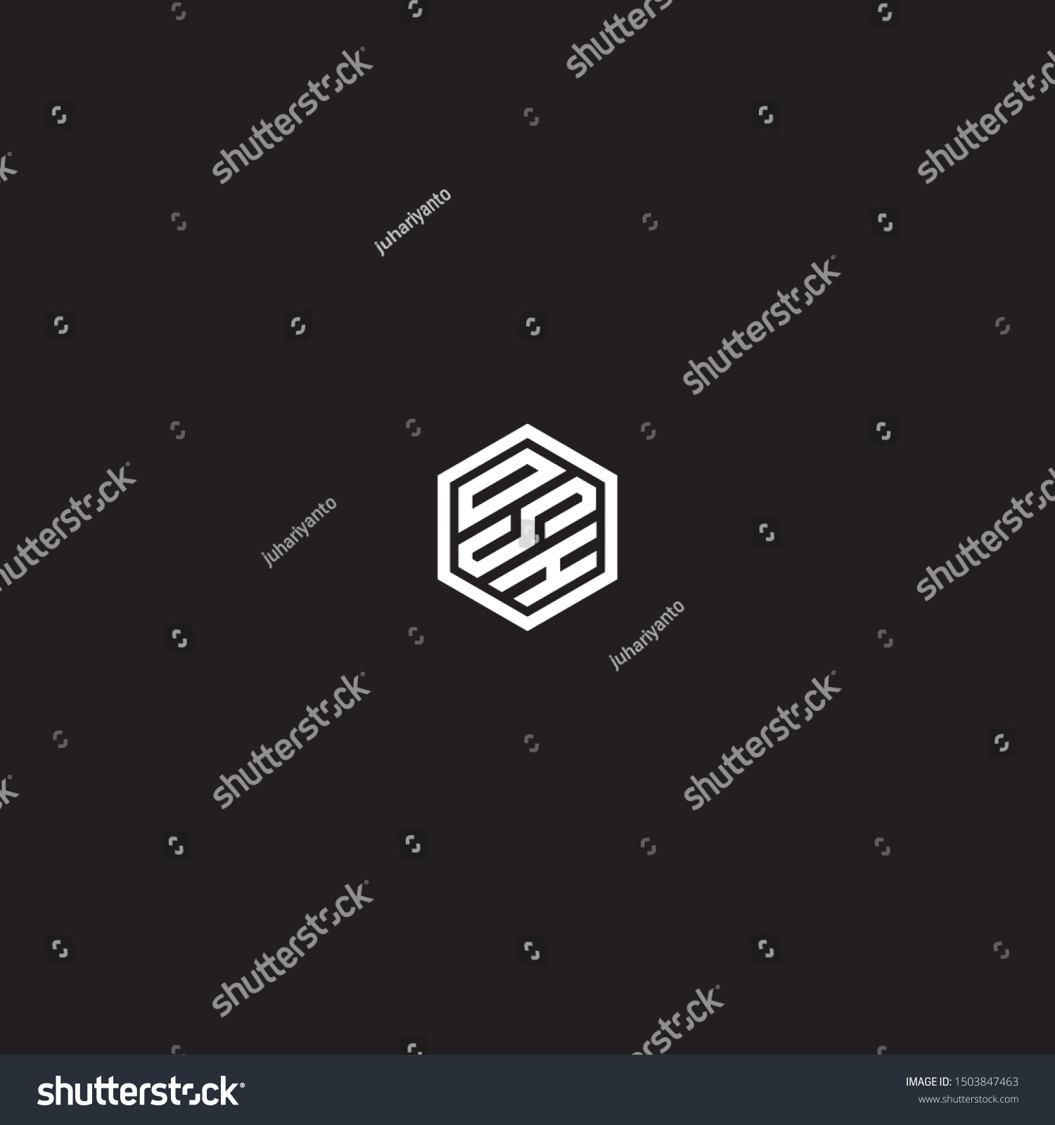 Dsh Initial Hexagon Logo Templet Vector Stock Vector (Royalty Free ...
