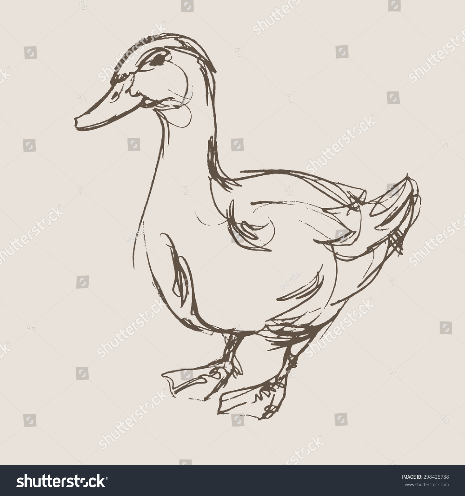 Duck Hand Draw Sketch Vector Stock Vector 298425788 - Shutterstock