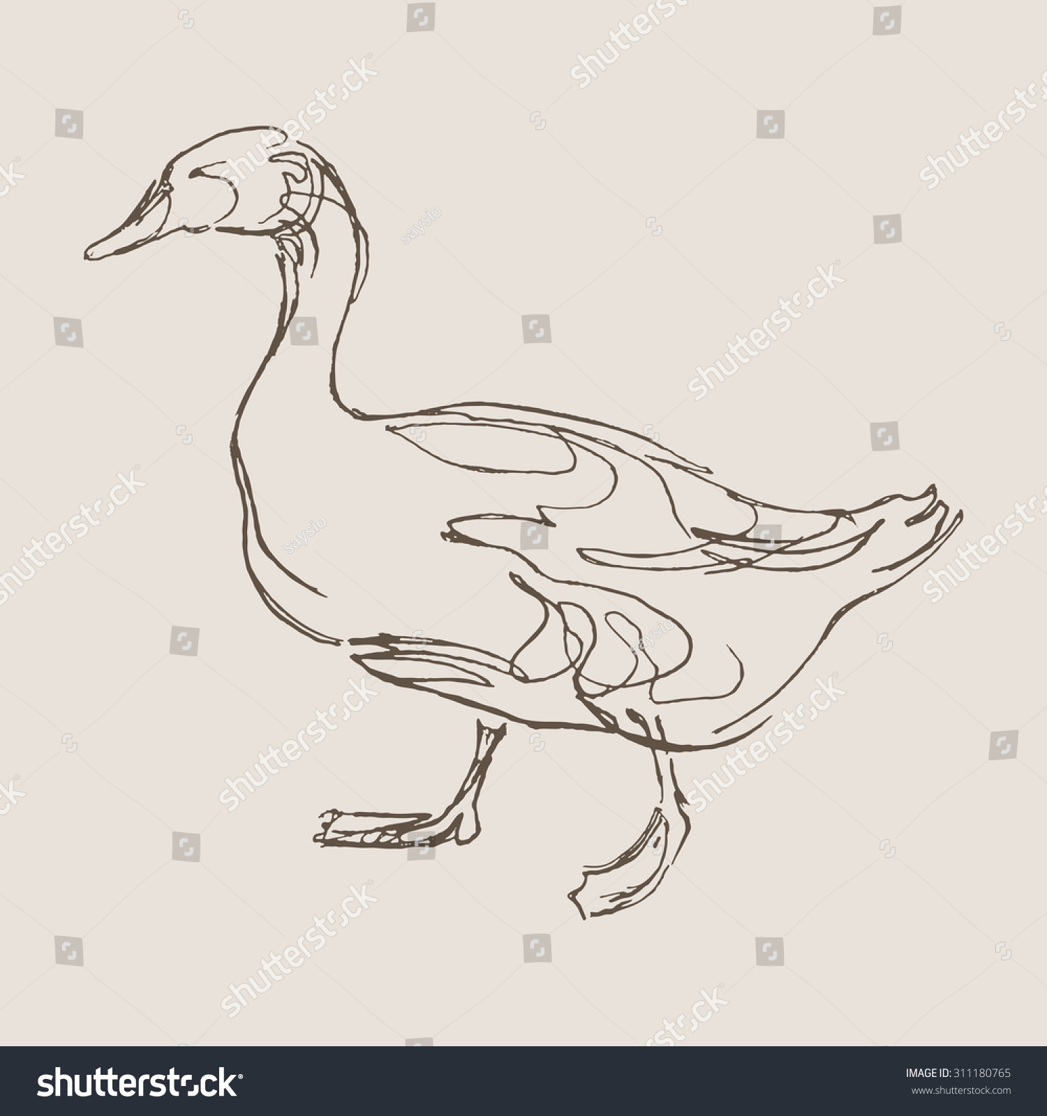 Duck Hand Draw Sketch Vector Stock Vector (Royalty Free) 311180765