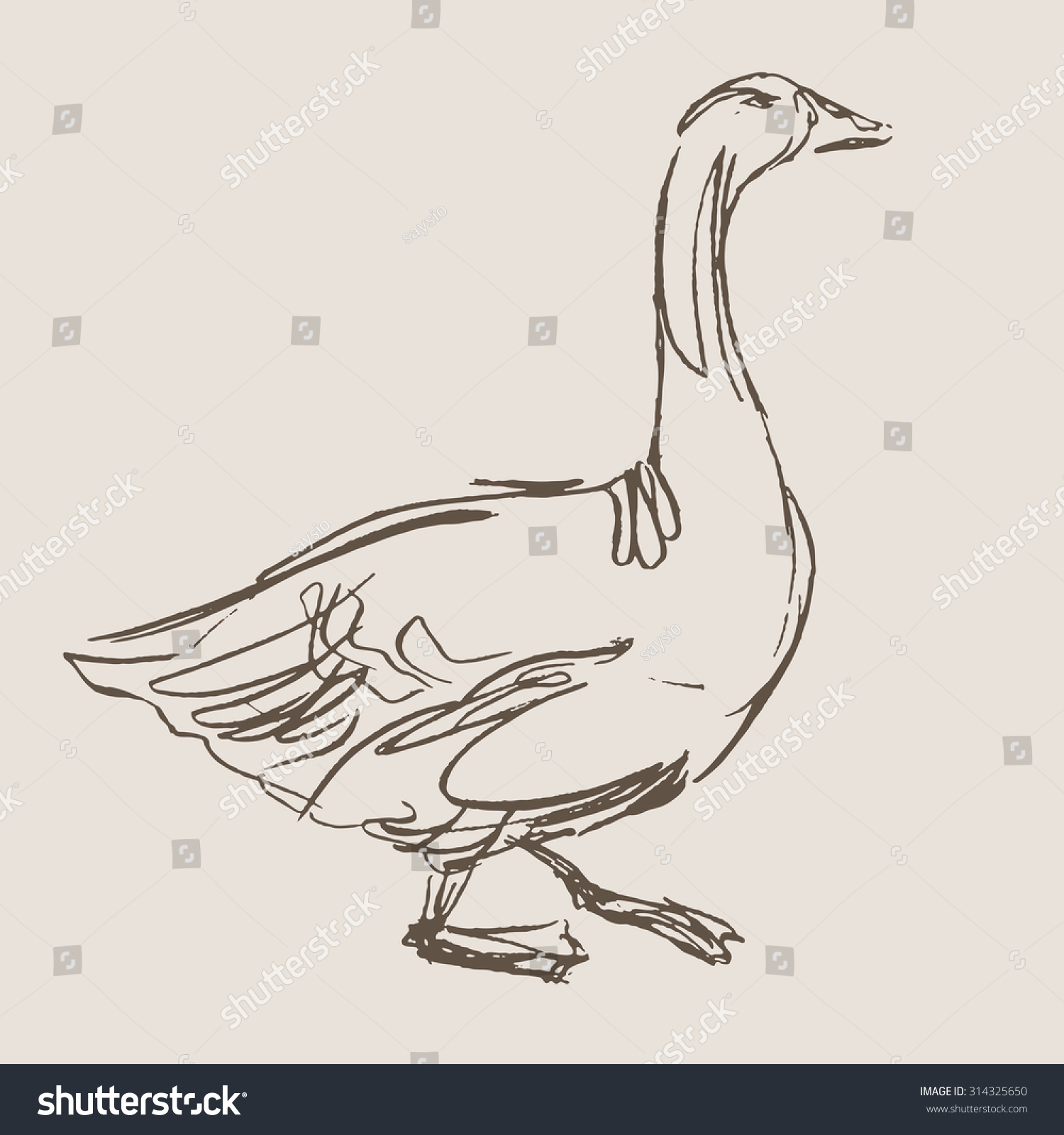 Duck Hand Draw Sketch Vector Stock Vector (Royalty Free) 314325650 ...