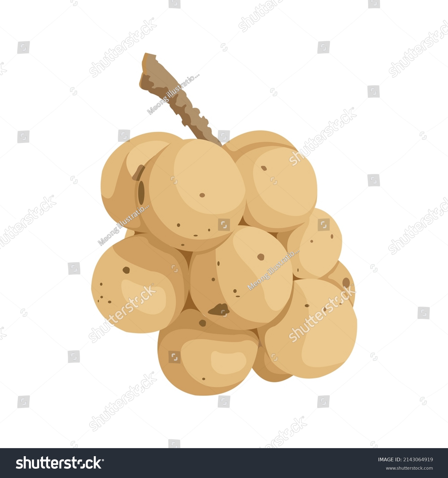 Duku Fruit Vector Flat Design Graphic Stock Vector (Royalty Free ...